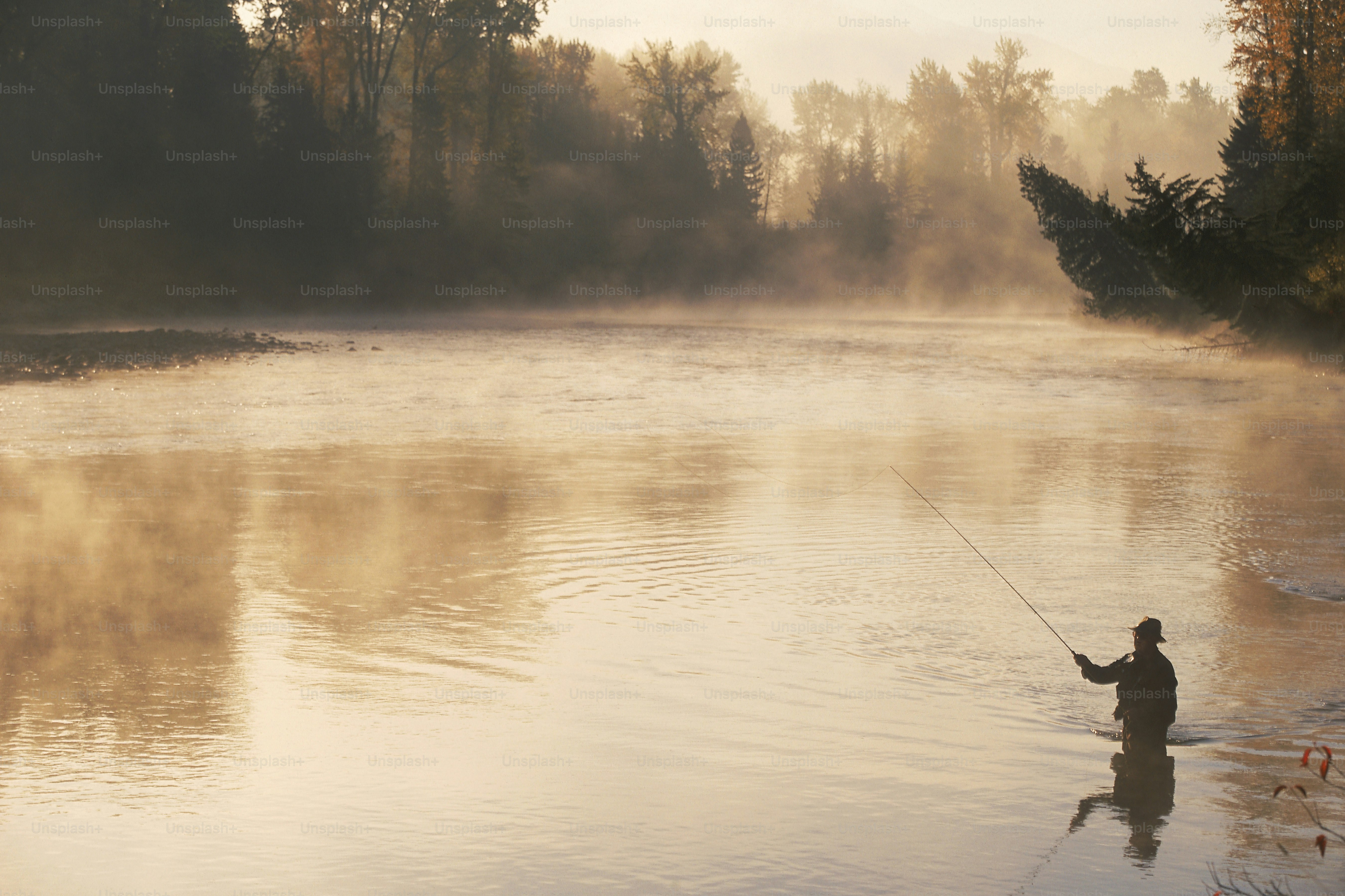 500+ Fly Fishing Pictures | Download Free Images on Unsplash