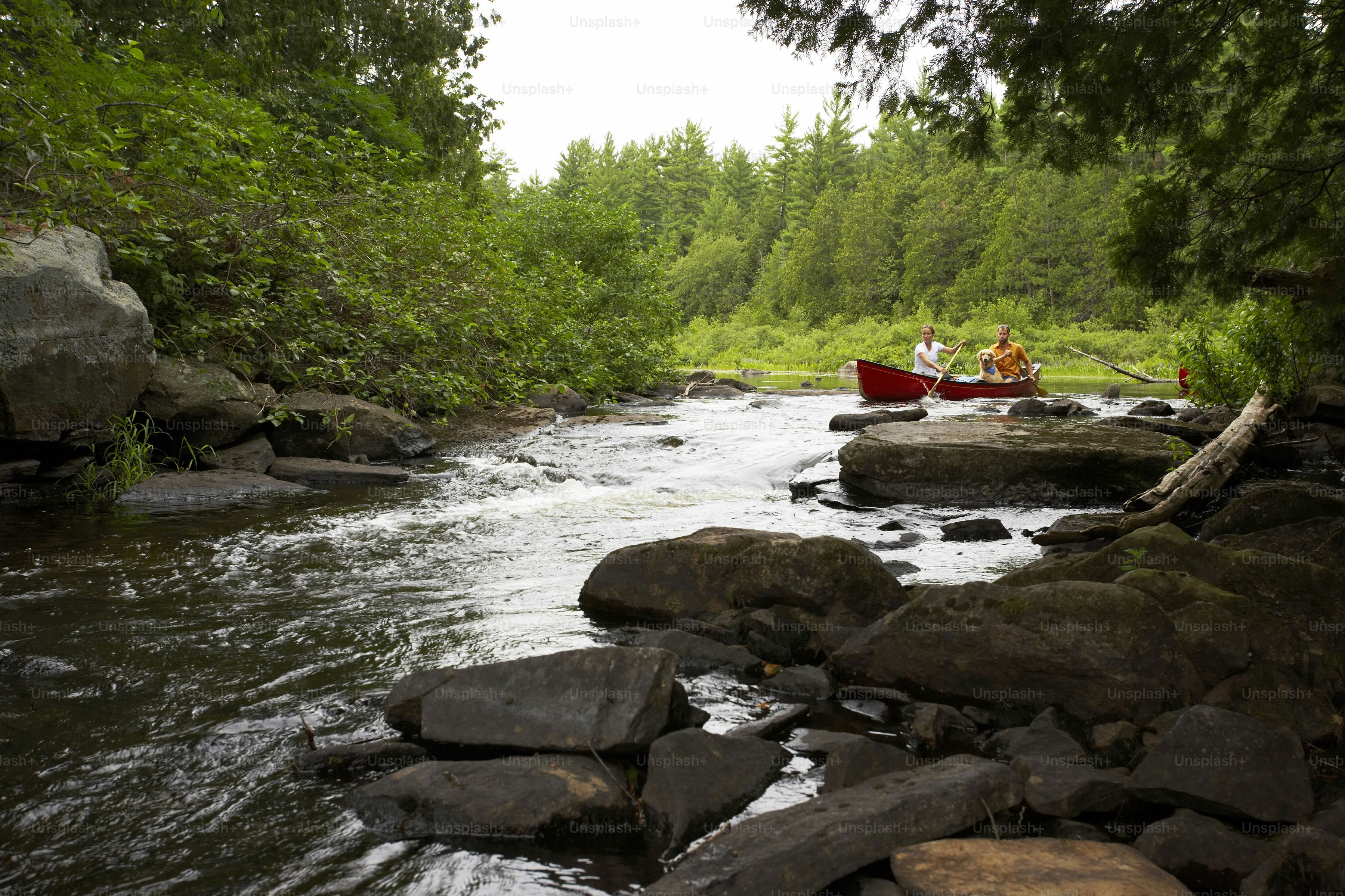A group of people in a canoe on a river photo – Couple - relationship ...
