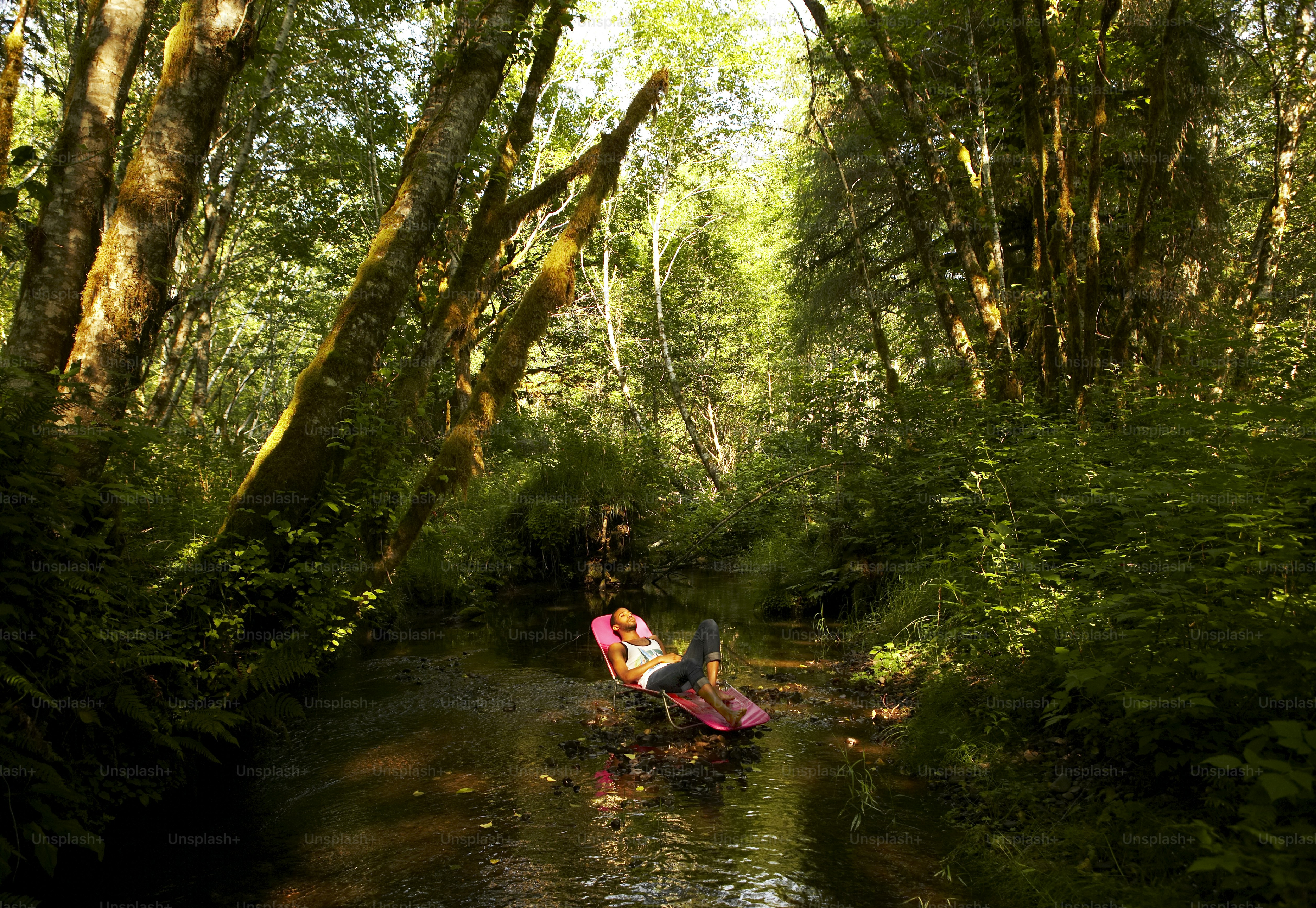 Washington State Pictures | Download Free Images on Unsplash