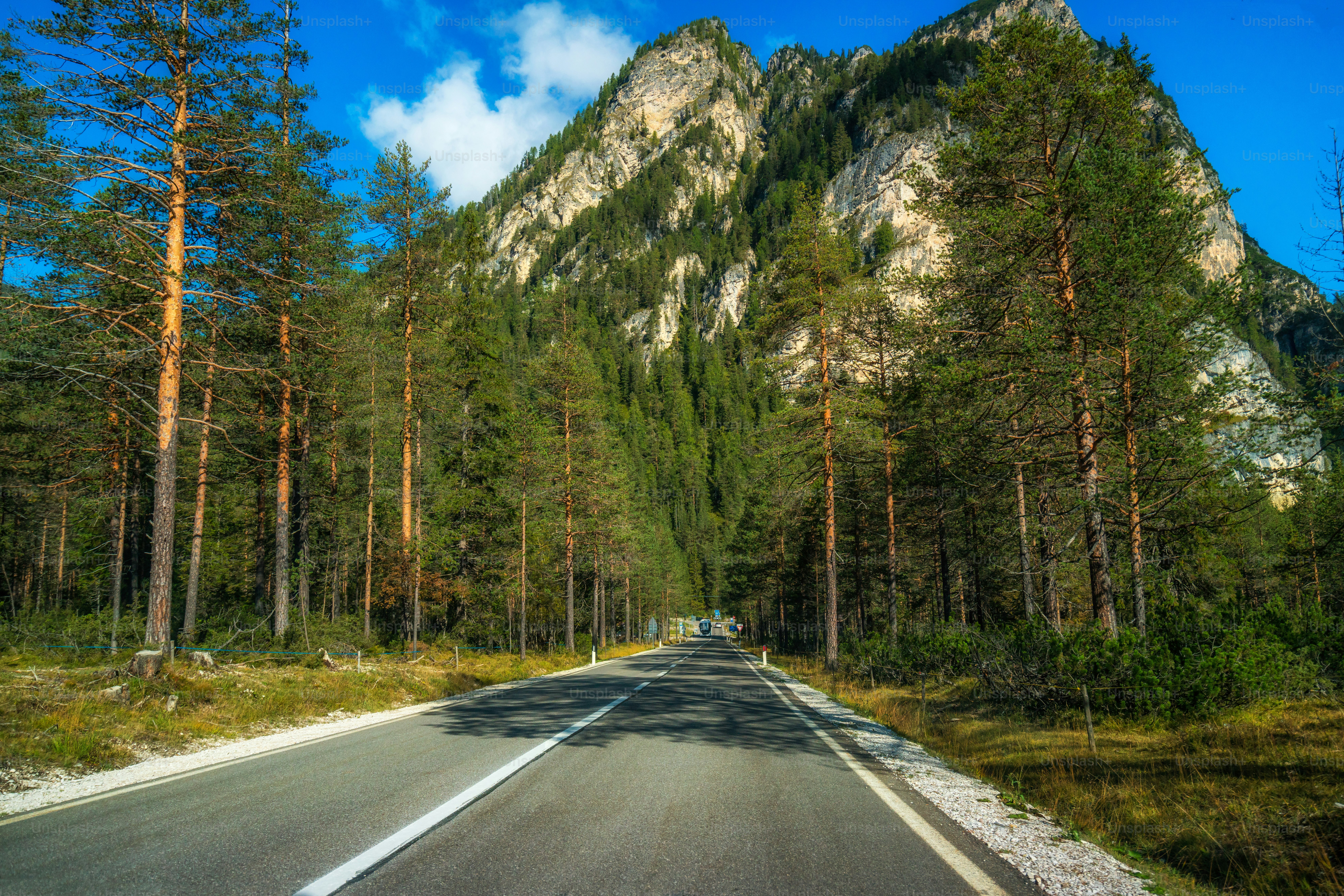 Beautiful mountain road with trees, forest and mountains in the ...