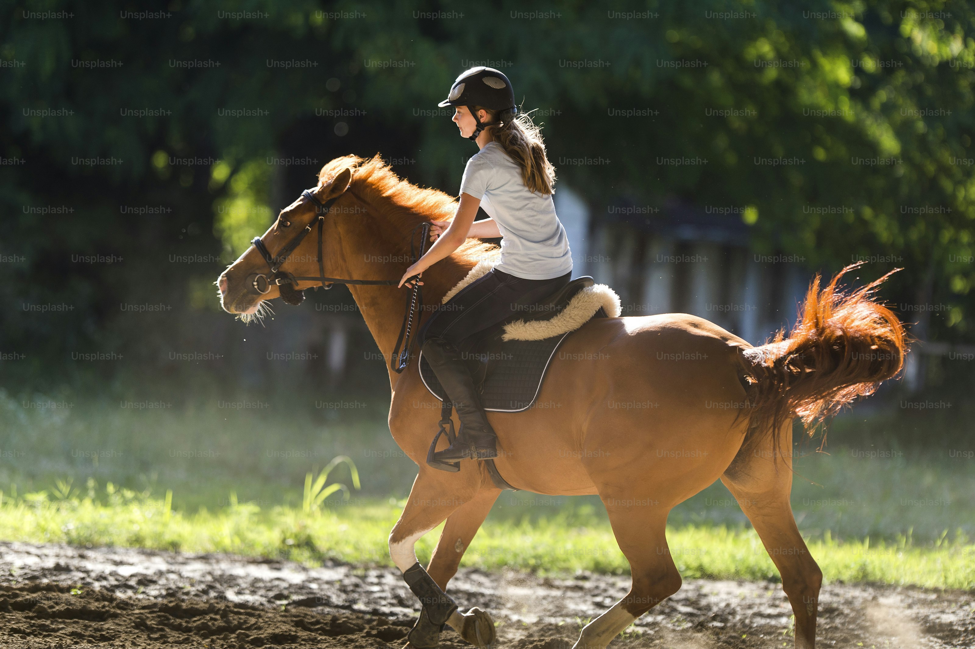 Young pretty girl riding a horse photo – Thoroughbred horse Image on ...