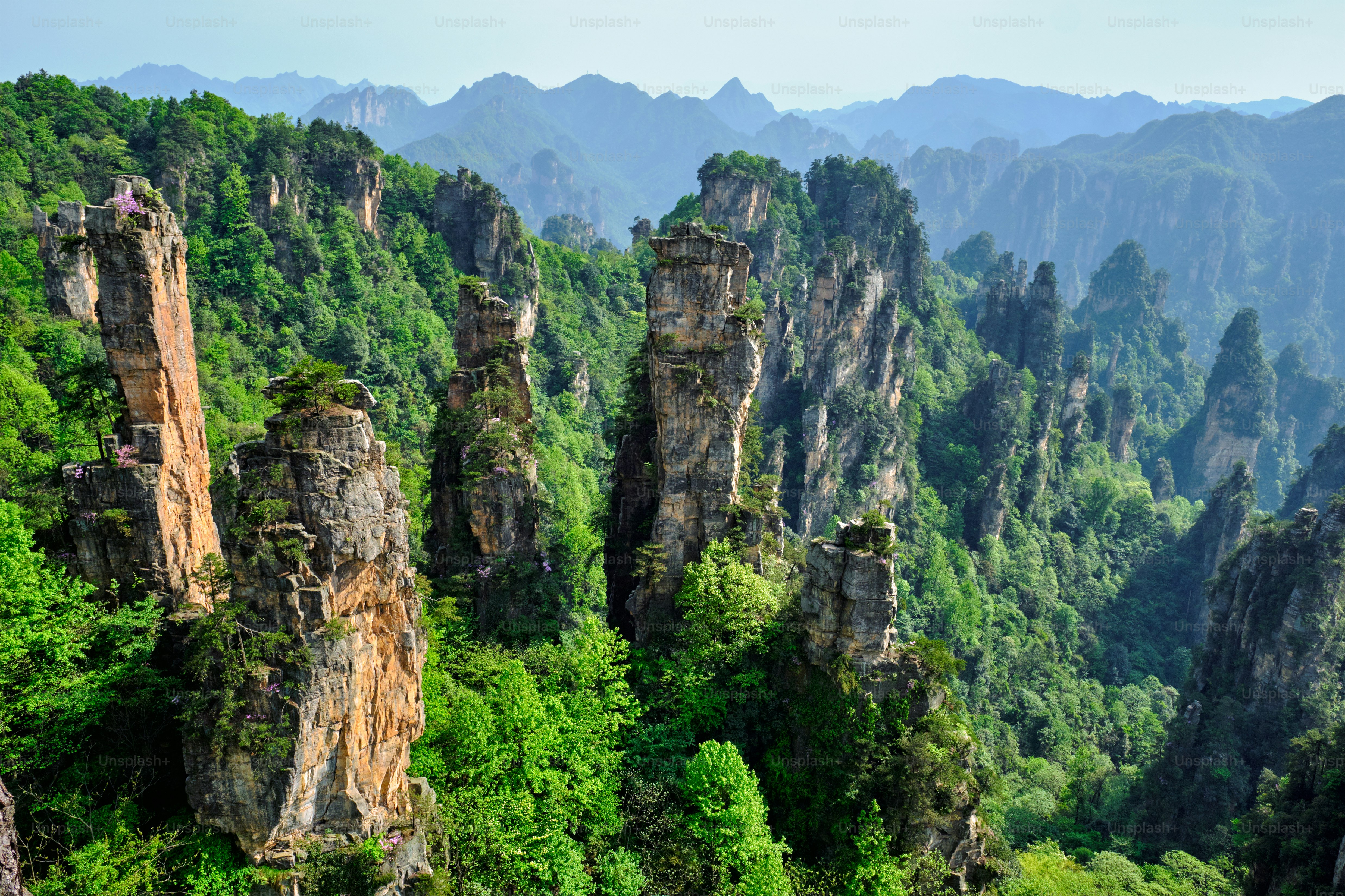 Famous tourist attraction of China - Zhangjiajie stone pillars cliff ...