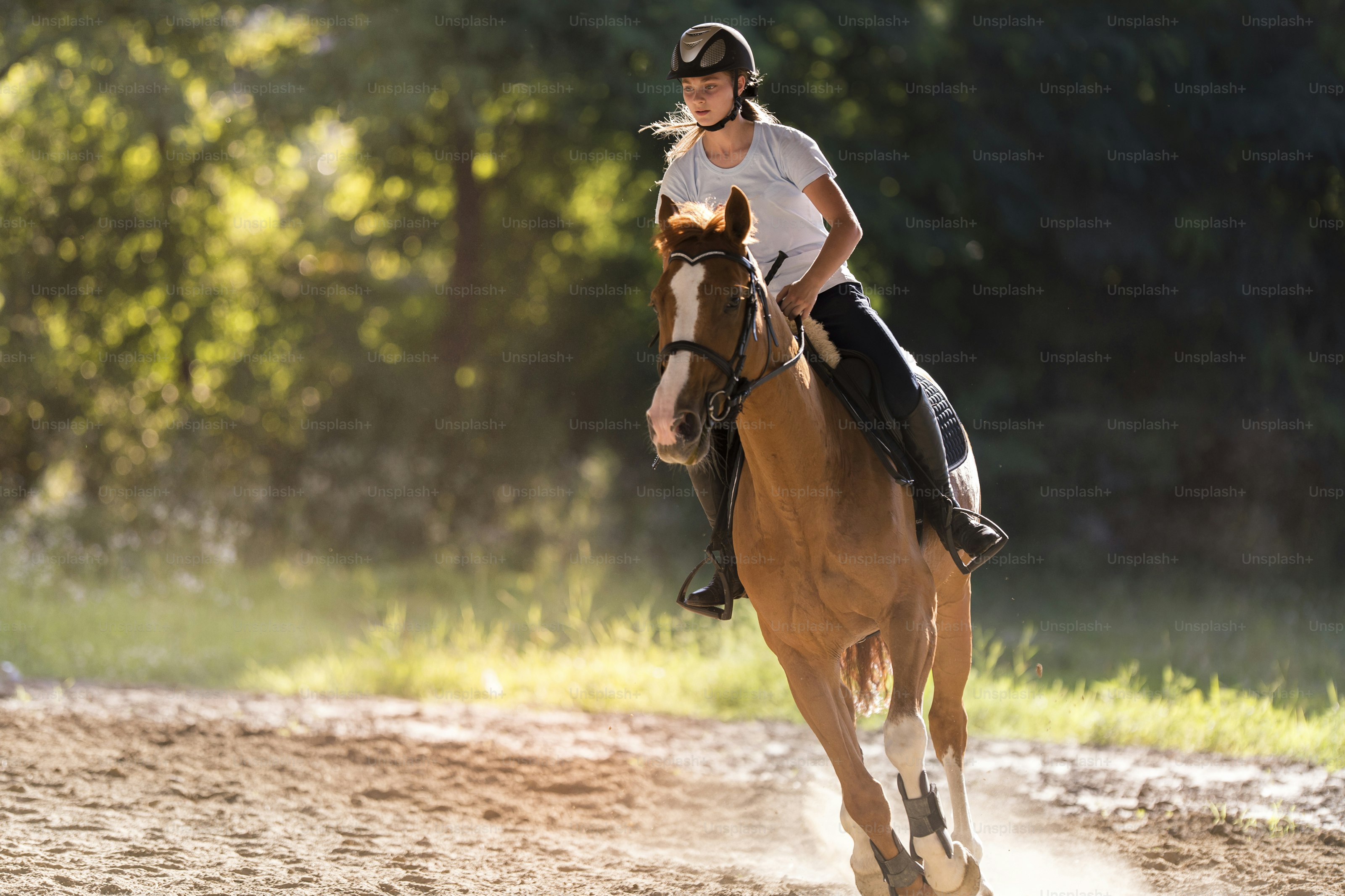 Young pretty girl riding a horse photo – Autumn Image on Unsplash