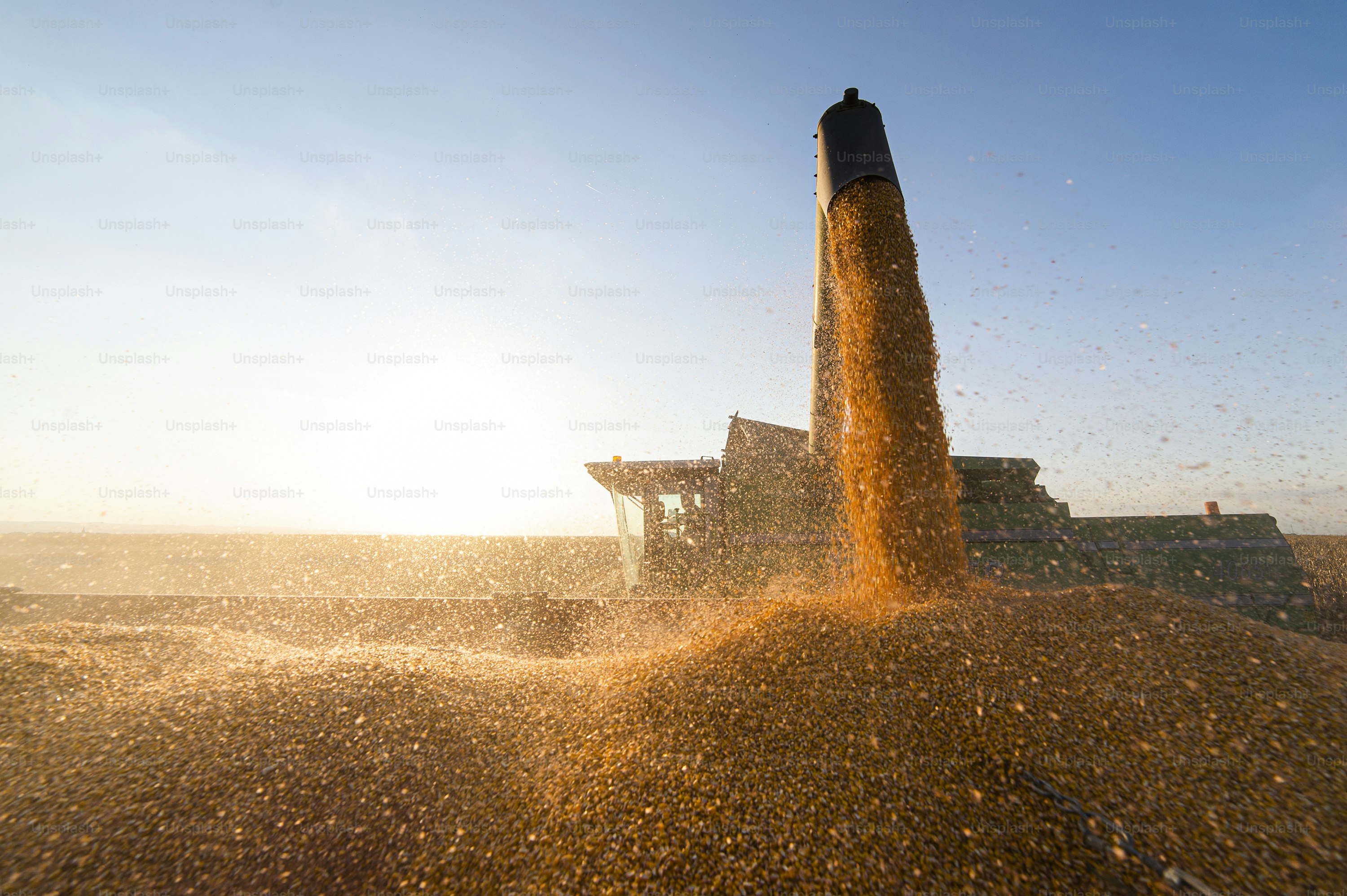 Grain auger of combine pouring corn into tractor trailer photo ...