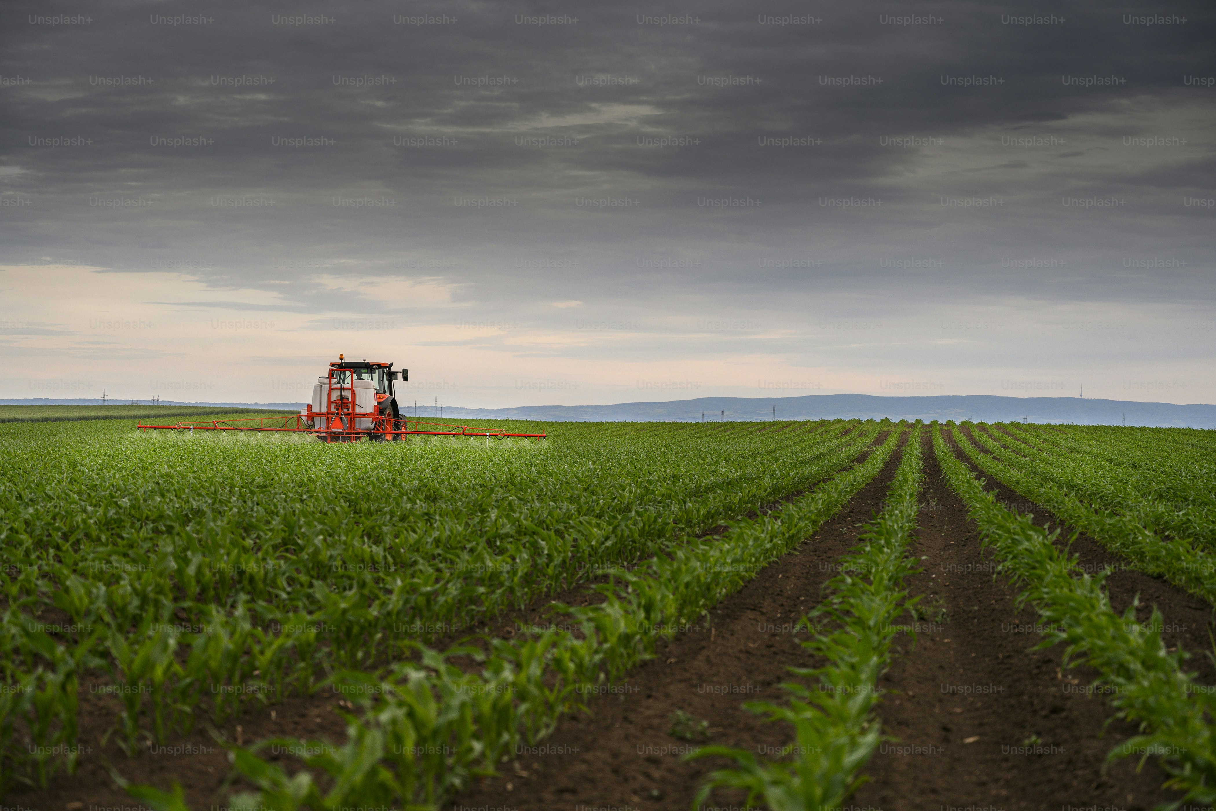 Tractor spraying pesticides on corn field with sprayer at spring photo ...