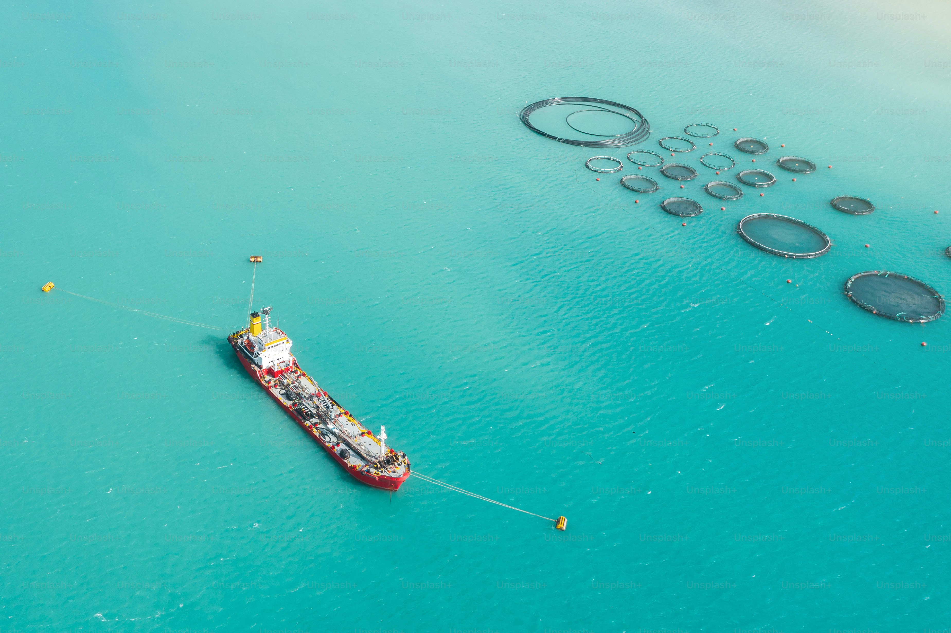 Aquaculture Pictures | Download Free Images on Unsplash