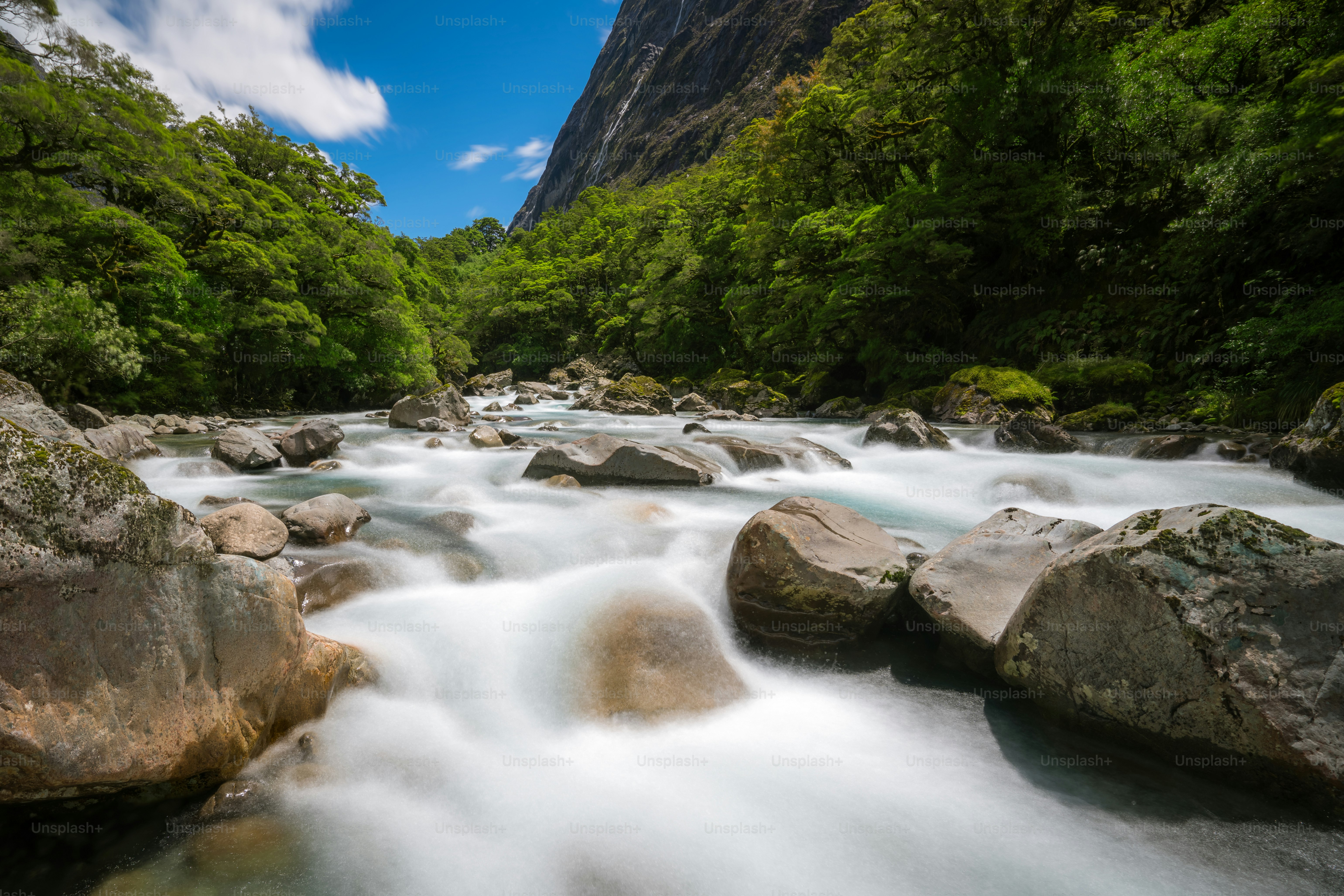 Rocky river landscape in rainforest with mountains background. Shot at ...
