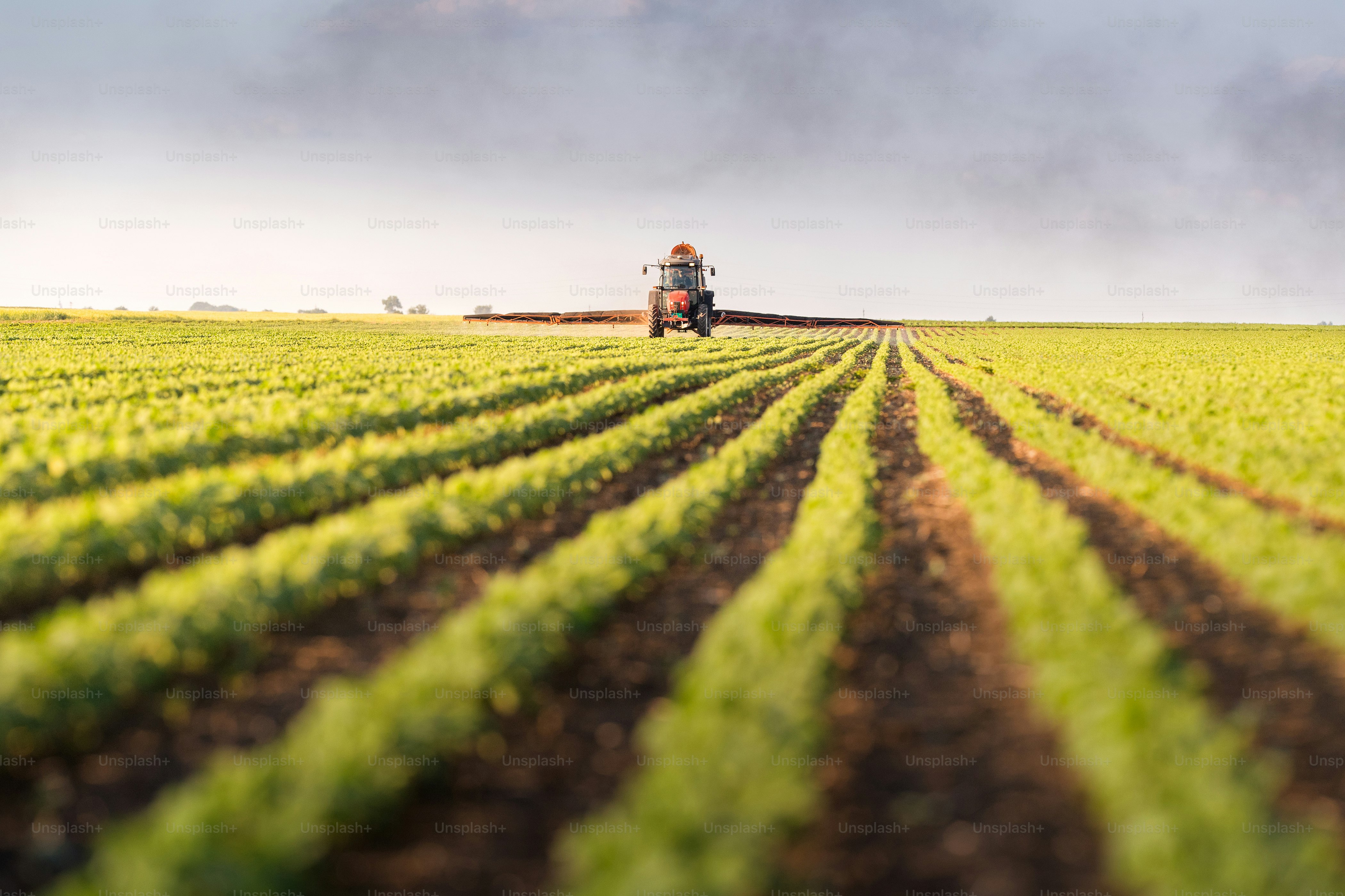 Farm Field Pictures | Download Free Images on Unsplash