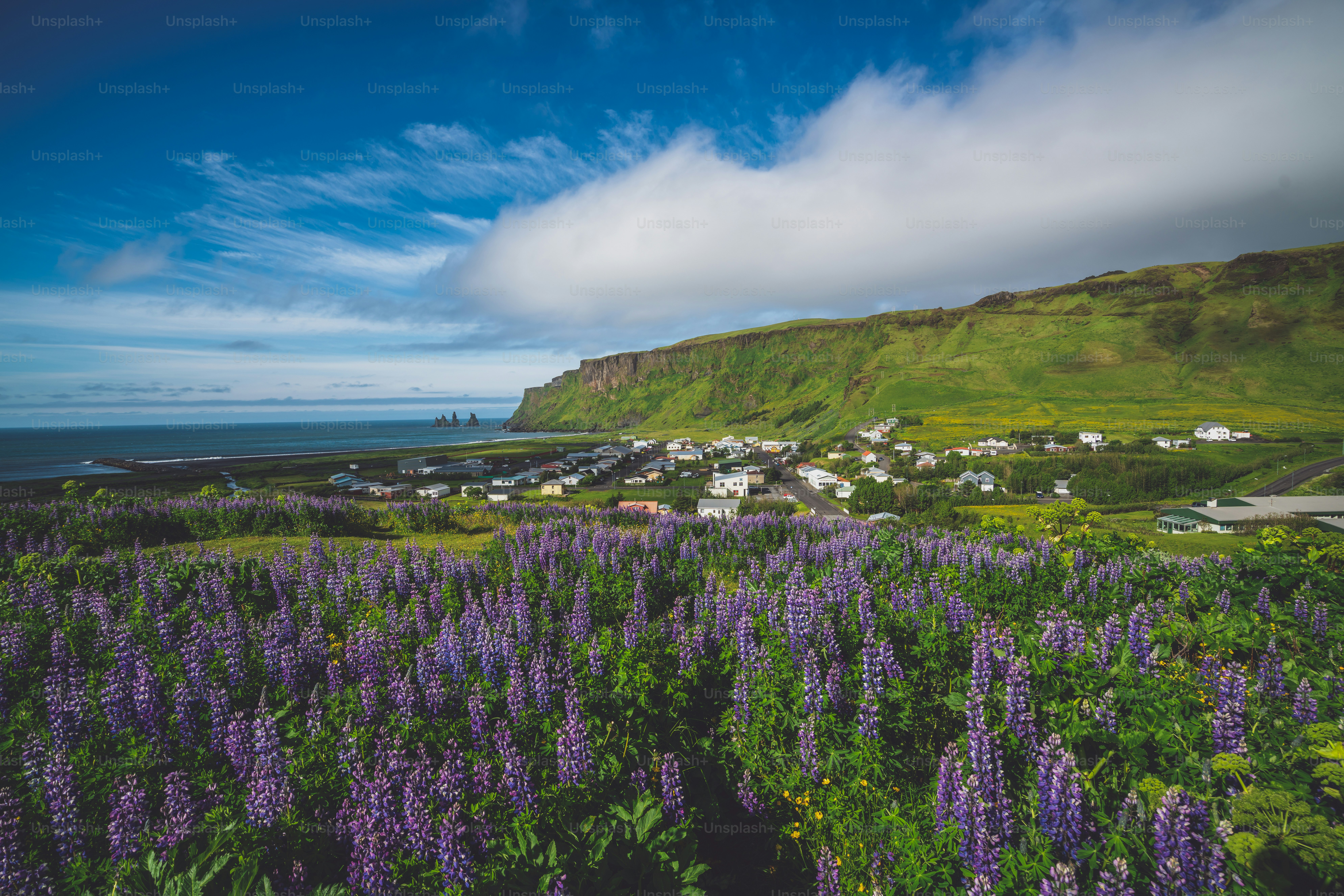 Beautiful town of Vik i Myrdal in Iceland in summer. The village of Vik ...