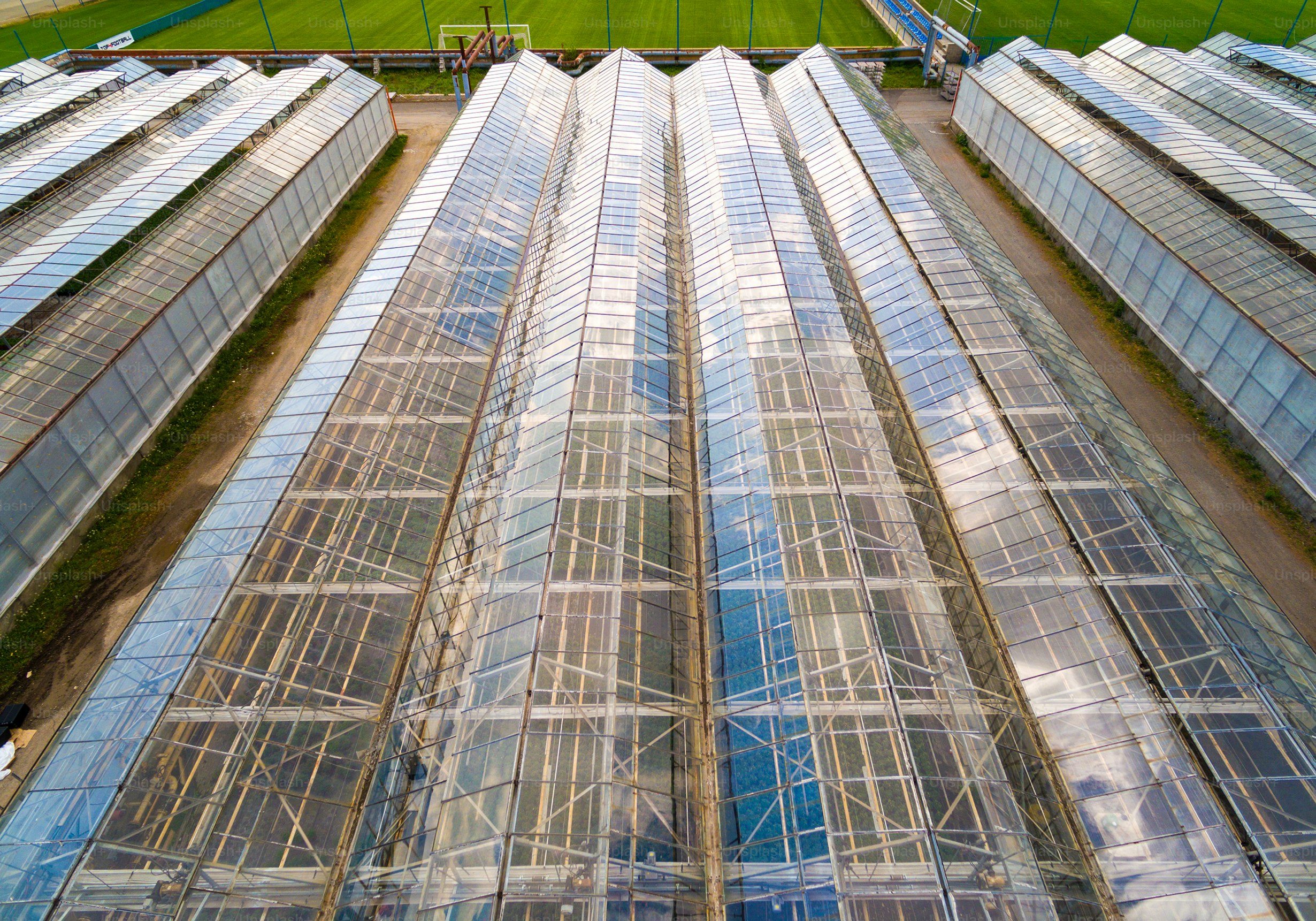 Greenhouse for flowers, vegetables and marijuana growing. Modern ...