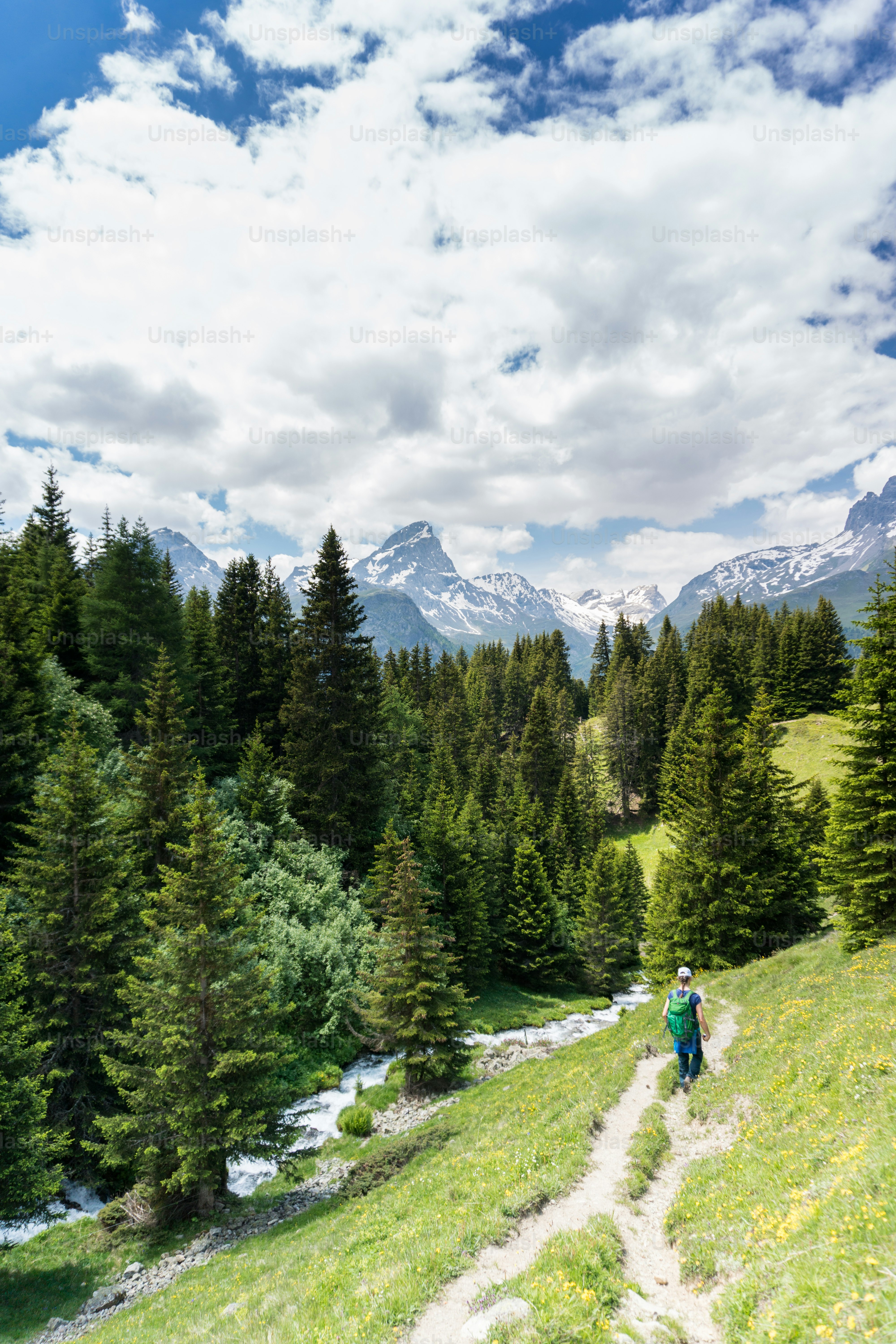 A young woman hiking along a pristine mountain stream in a pine forest ...