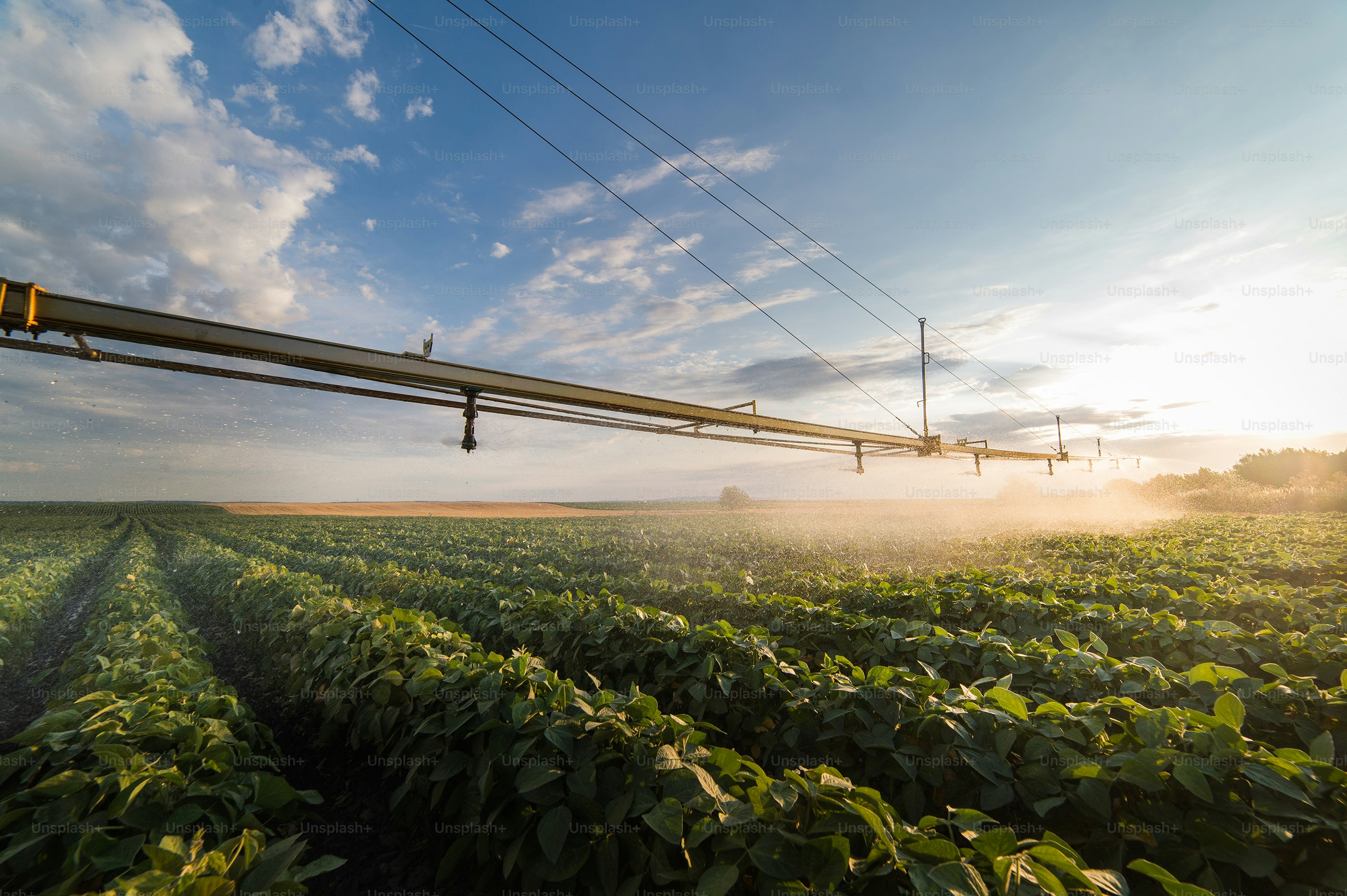 Irrigation system watering a crop of soy beans at field photo ...