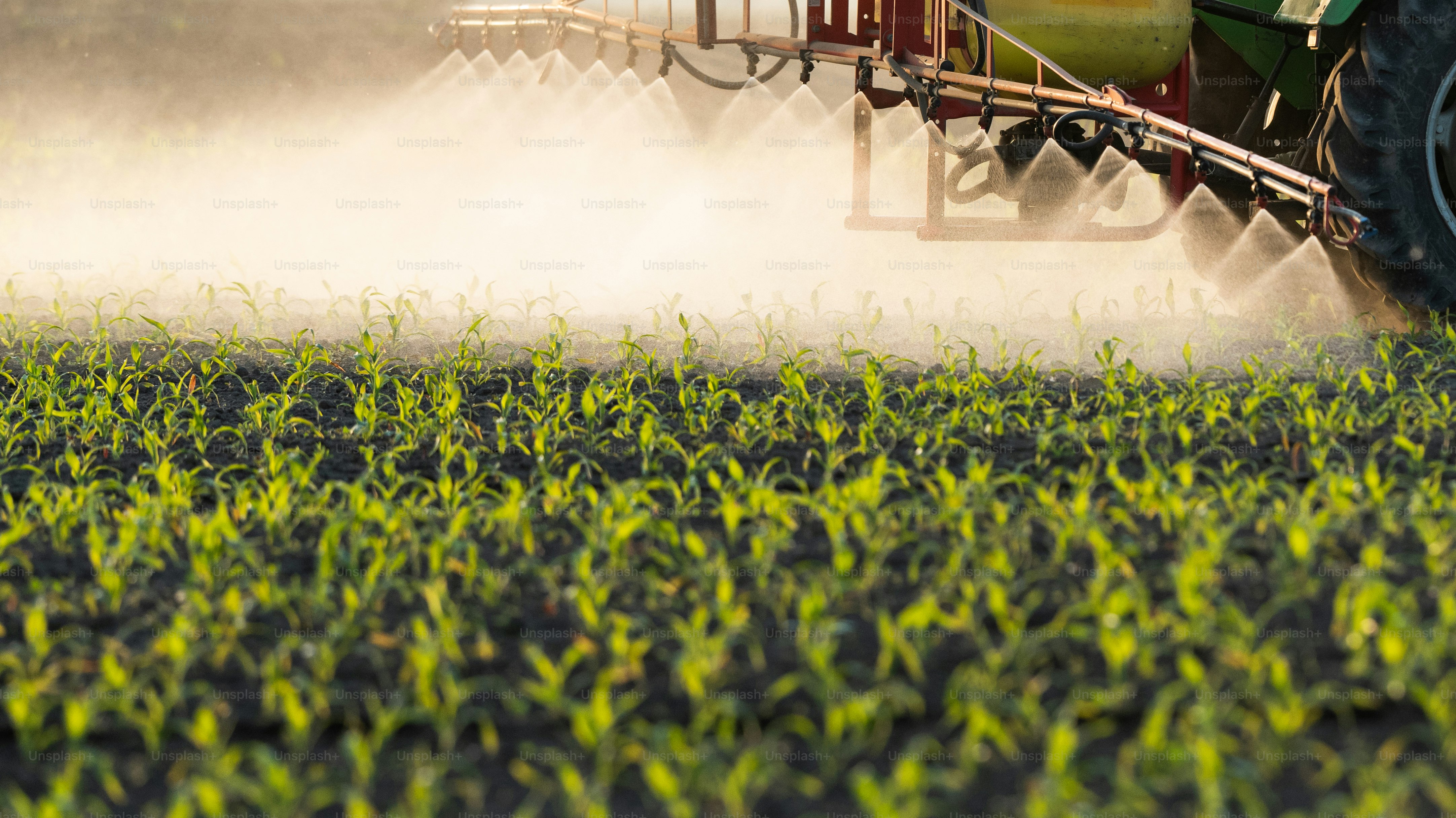 Tractor spraying pesticides at corn fields photo – Plant Image on Unsplash