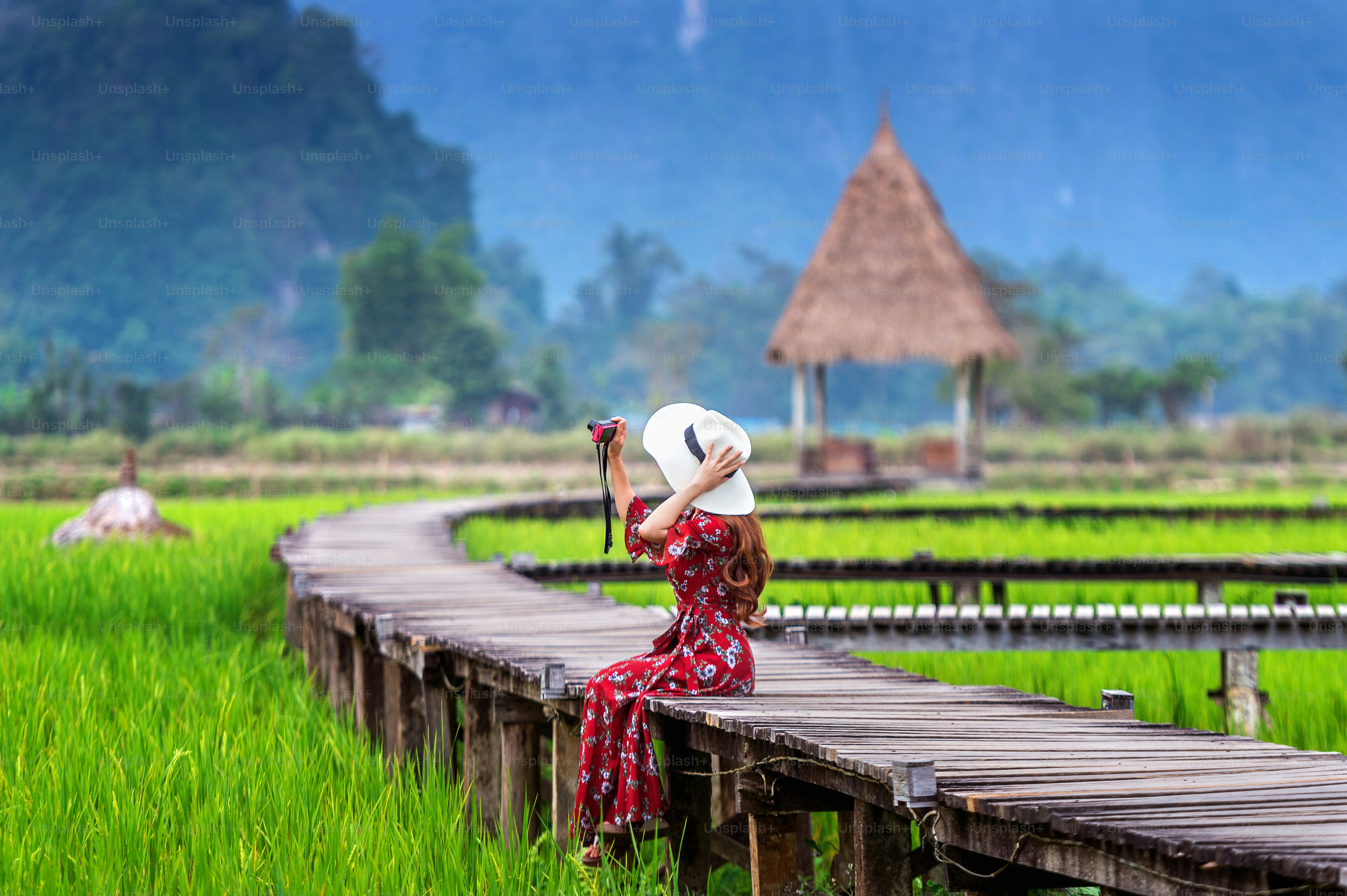 Young woman sitting on wooden path and take a photo by camera with ...