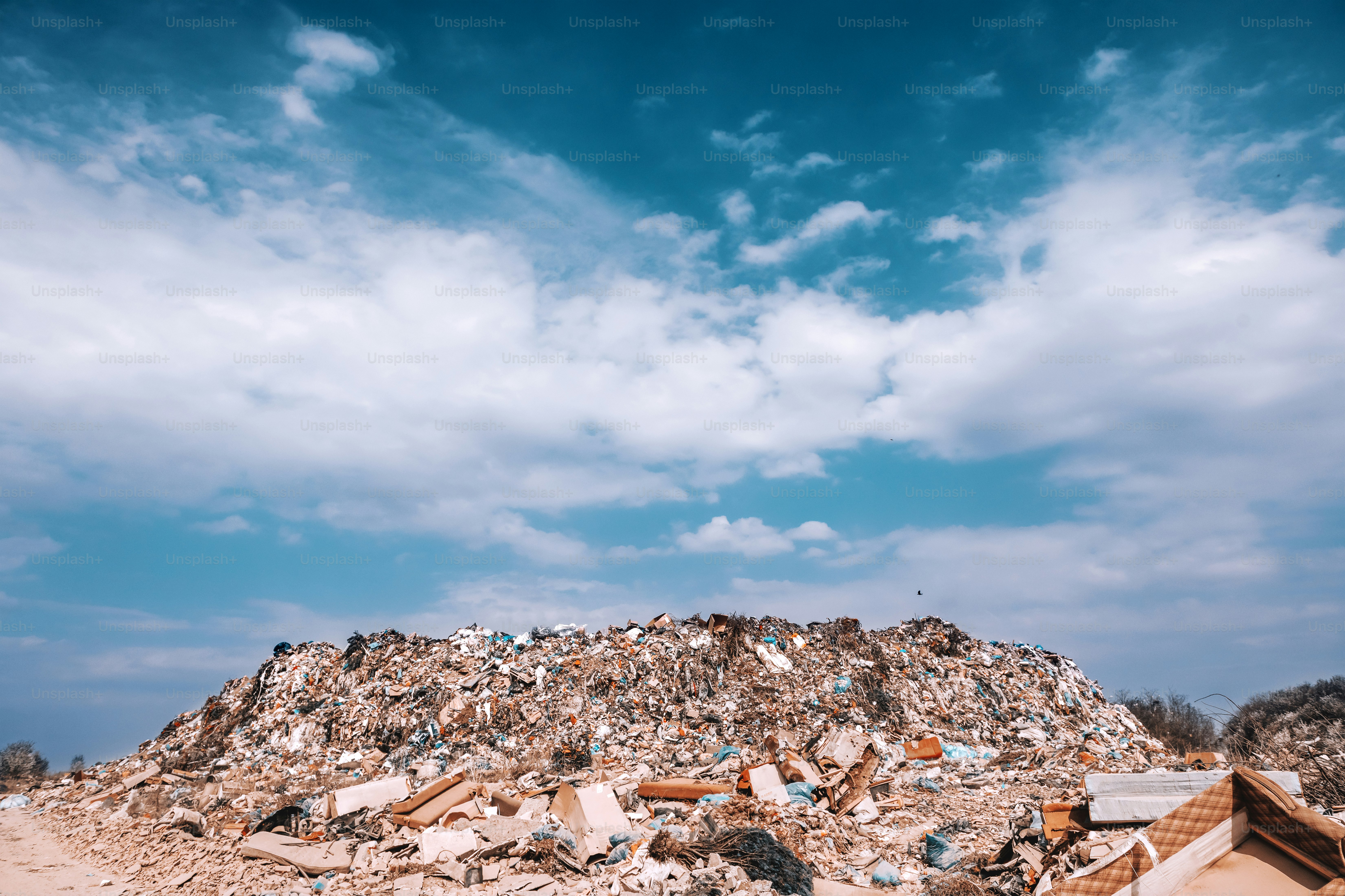 350+ Garbage Pictures [HD] | Download Free Images on Unsplash