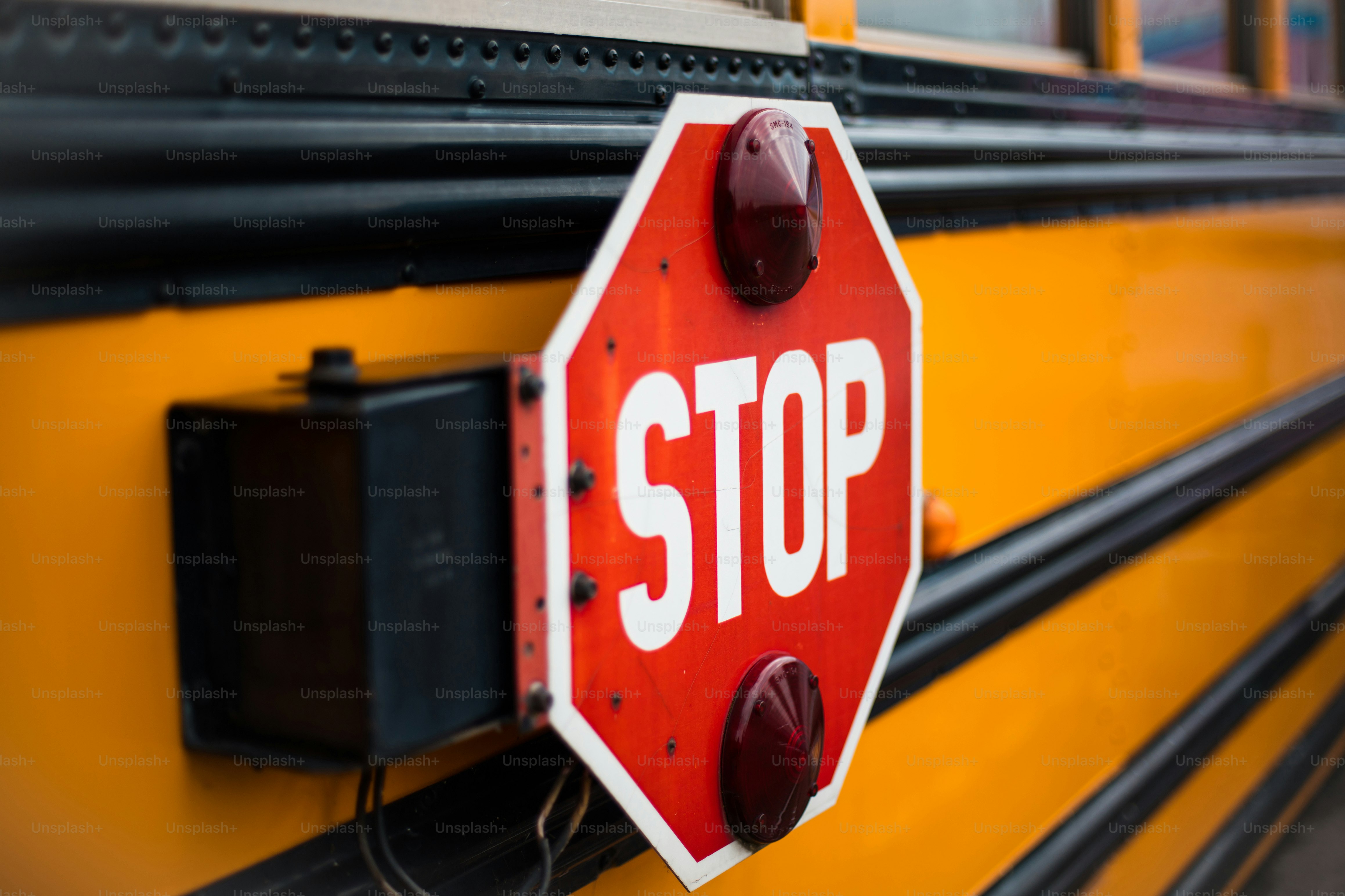 100+ School Bus Pictures | Download Free Images on Unsplash