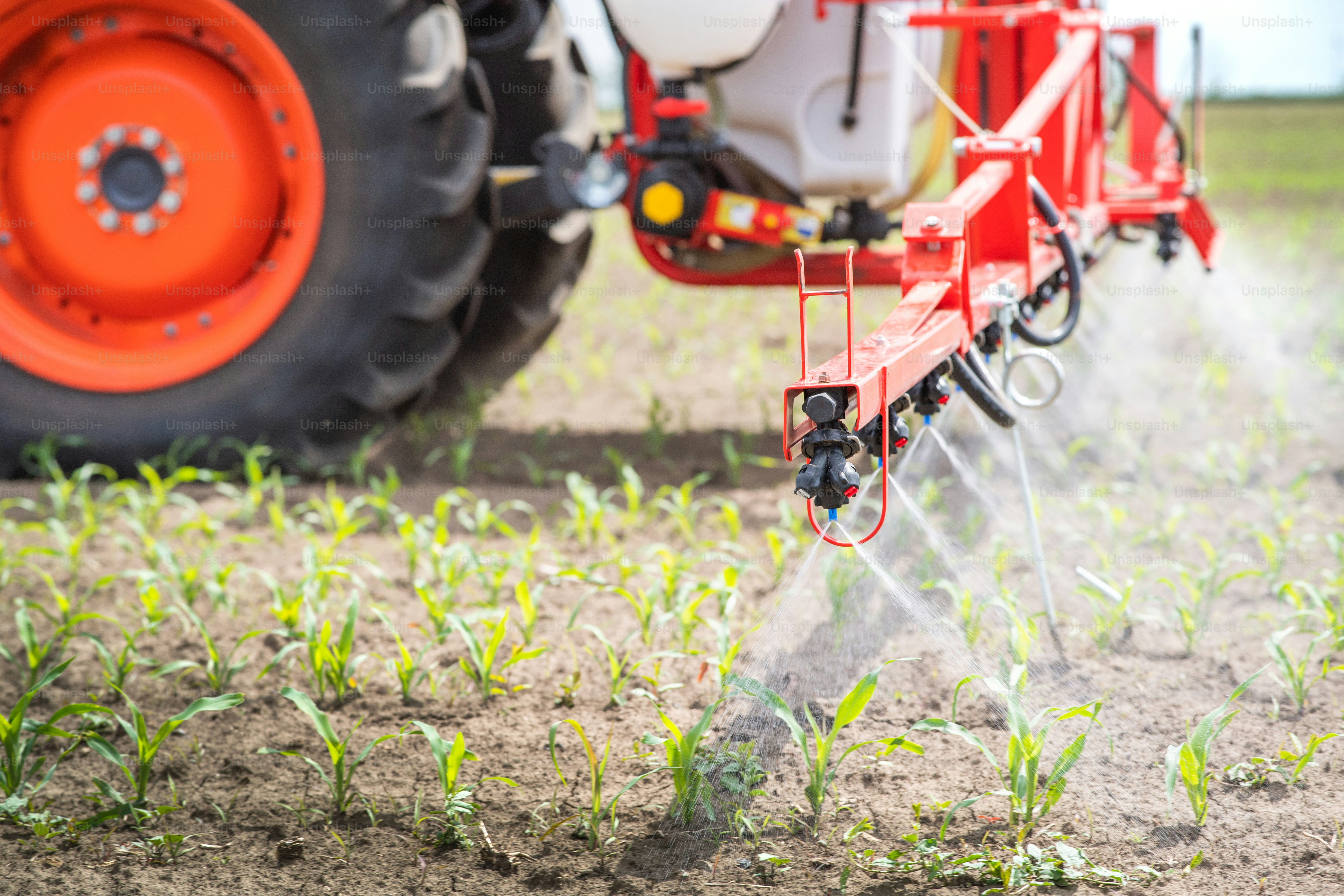 Tractor spraying pesticides on corn field with sprayer at spring photo ...