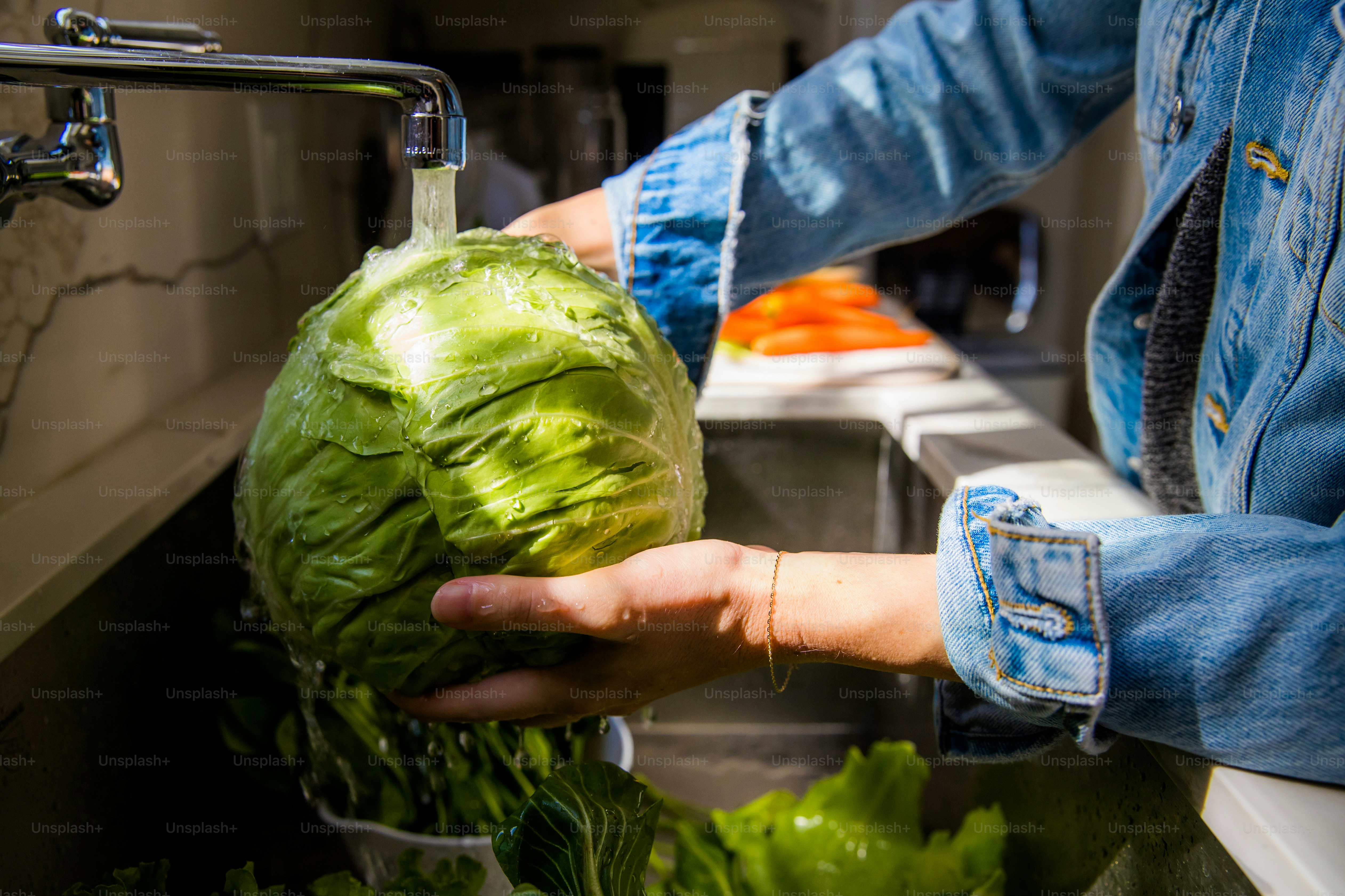 Woman washes cabbage from produce delivery photo – Cabbage Image on ...