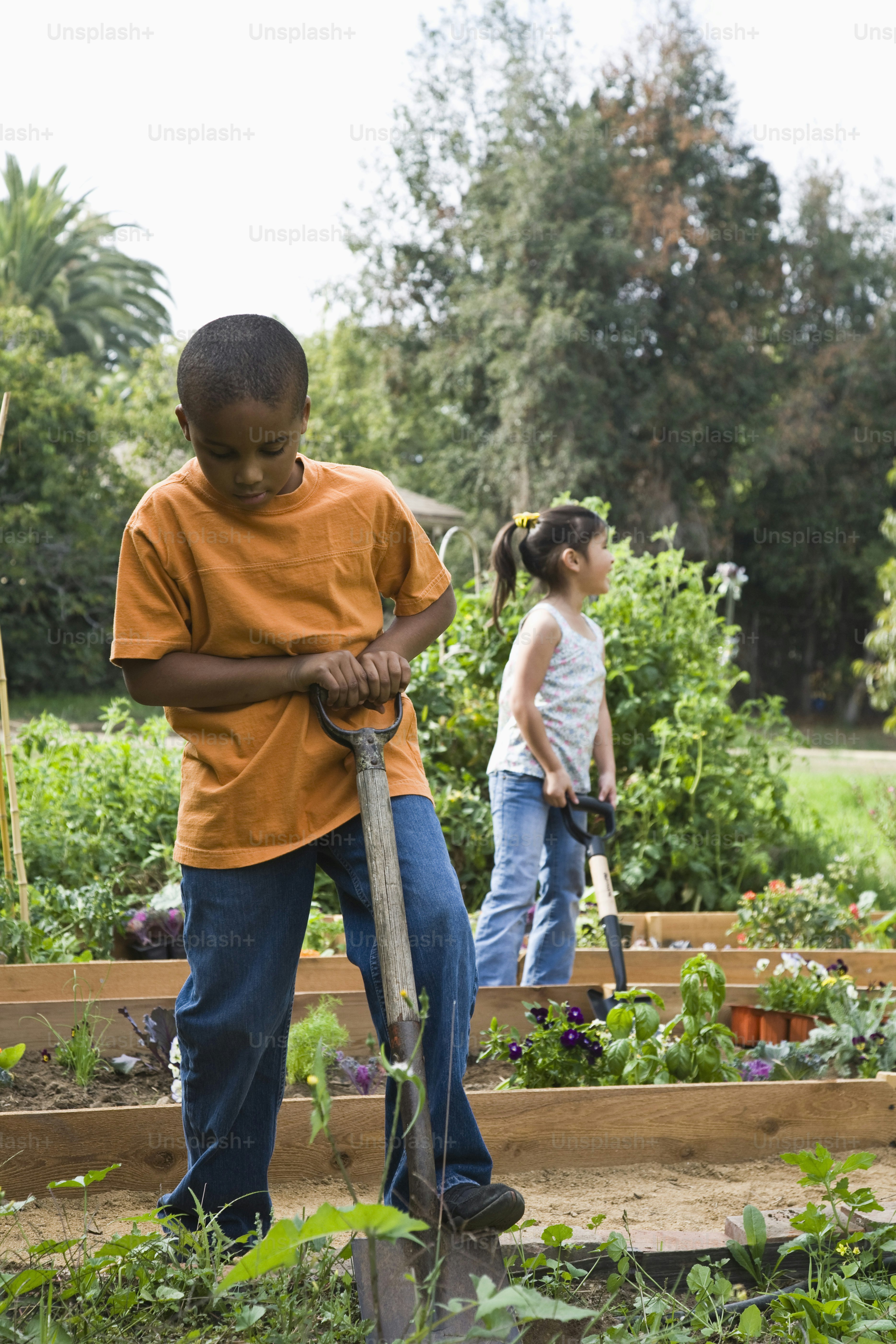 Kids Garden Pictures | Download Free Images on Unsplash