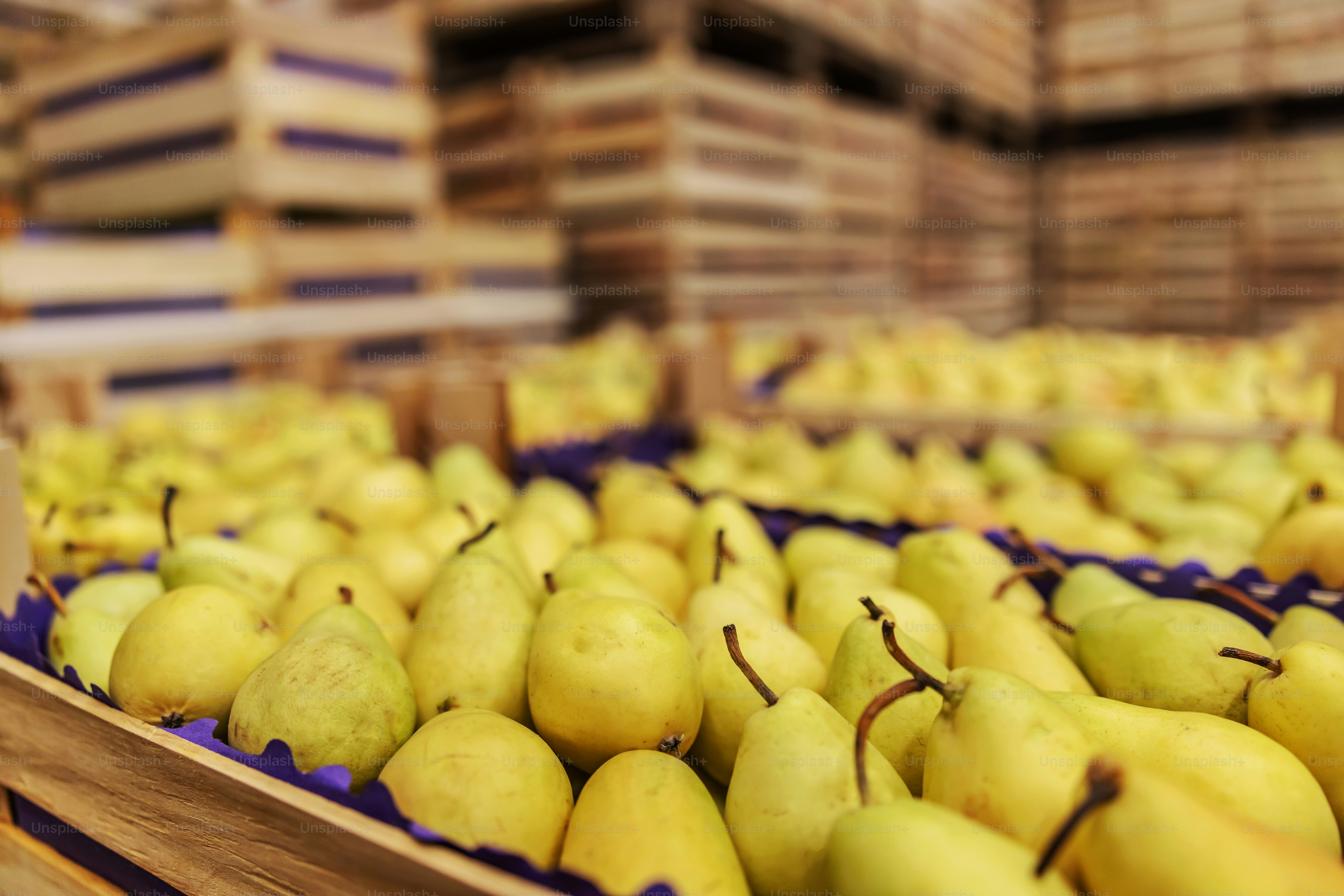 Pears in crates ready for shipping. Cold storage interior. photo – Food ...