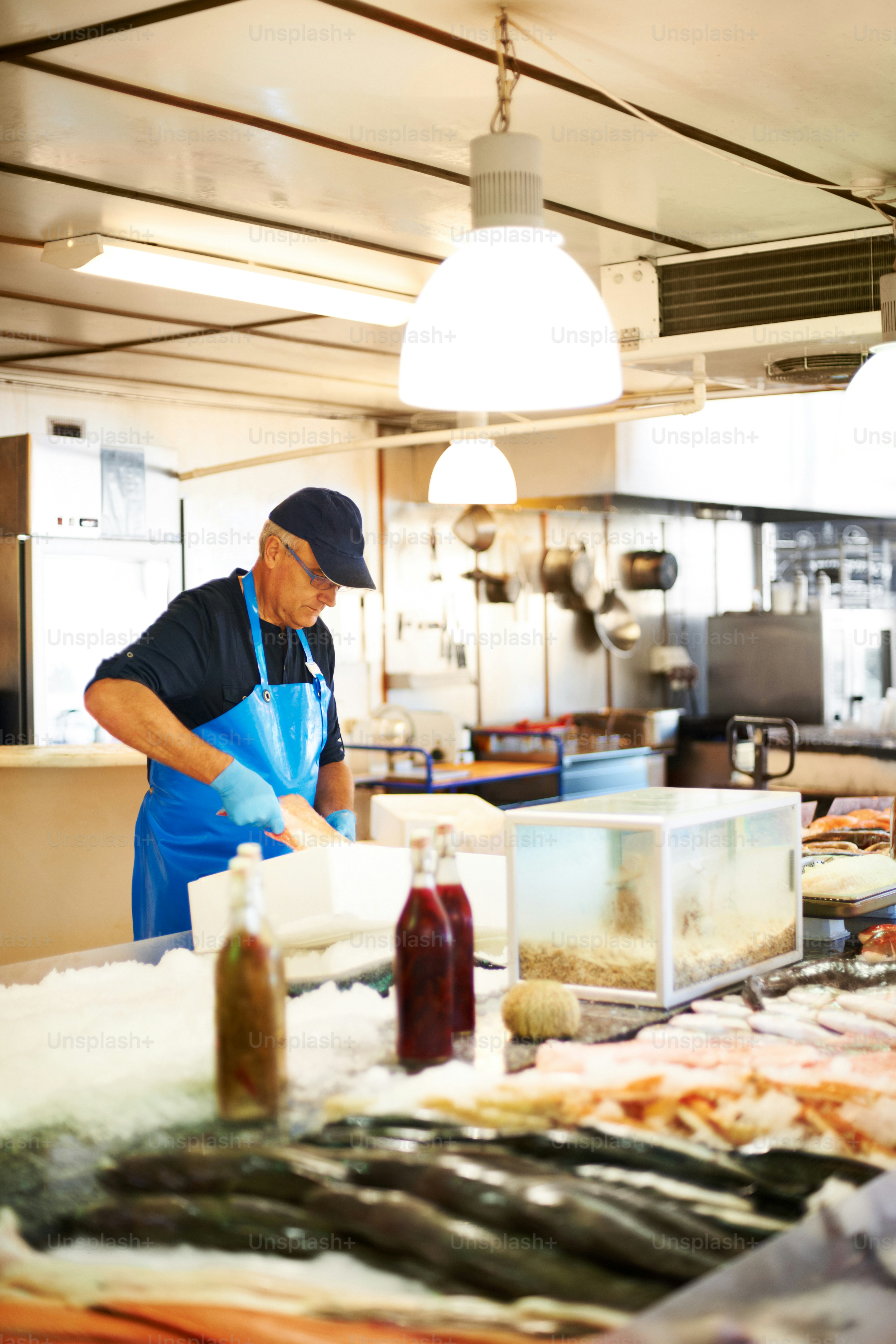 1000+ Fish Food Pictures | Download Free Images on Unsplash