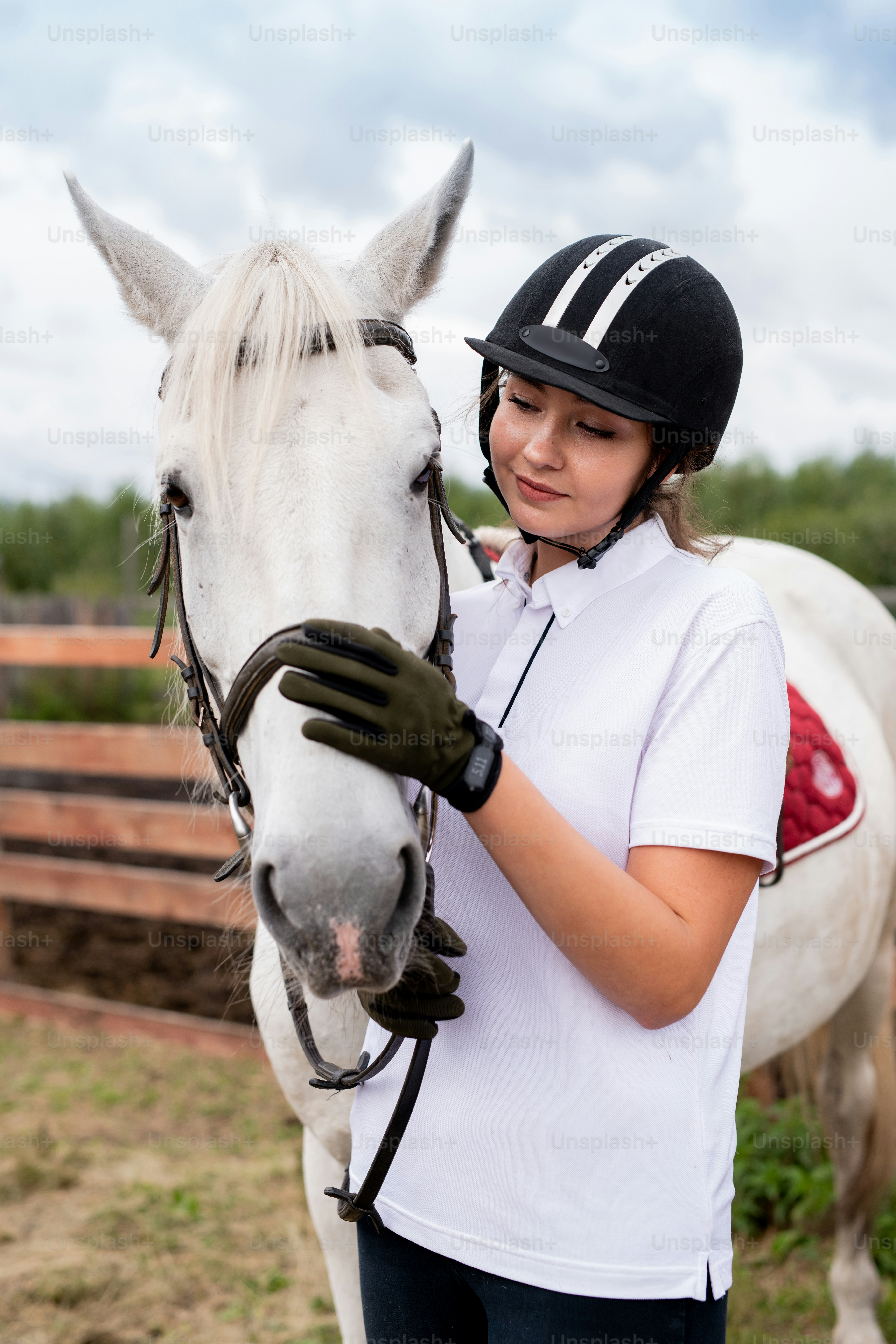 Jeune femelle active câlinant le museau d’un cheval de course blanc de ...