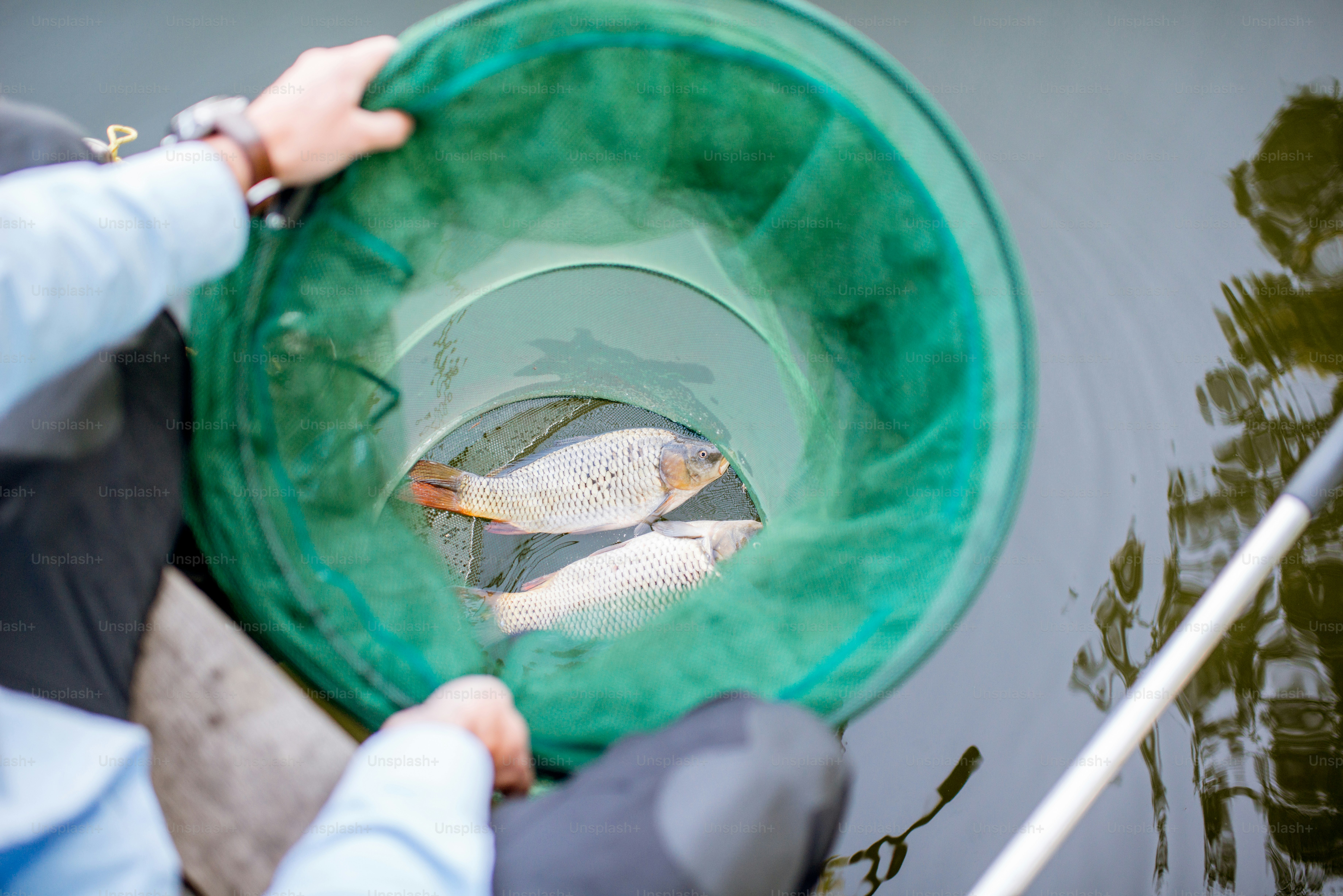 Lake Fishing Pictures | Download Free Images on Unsplash