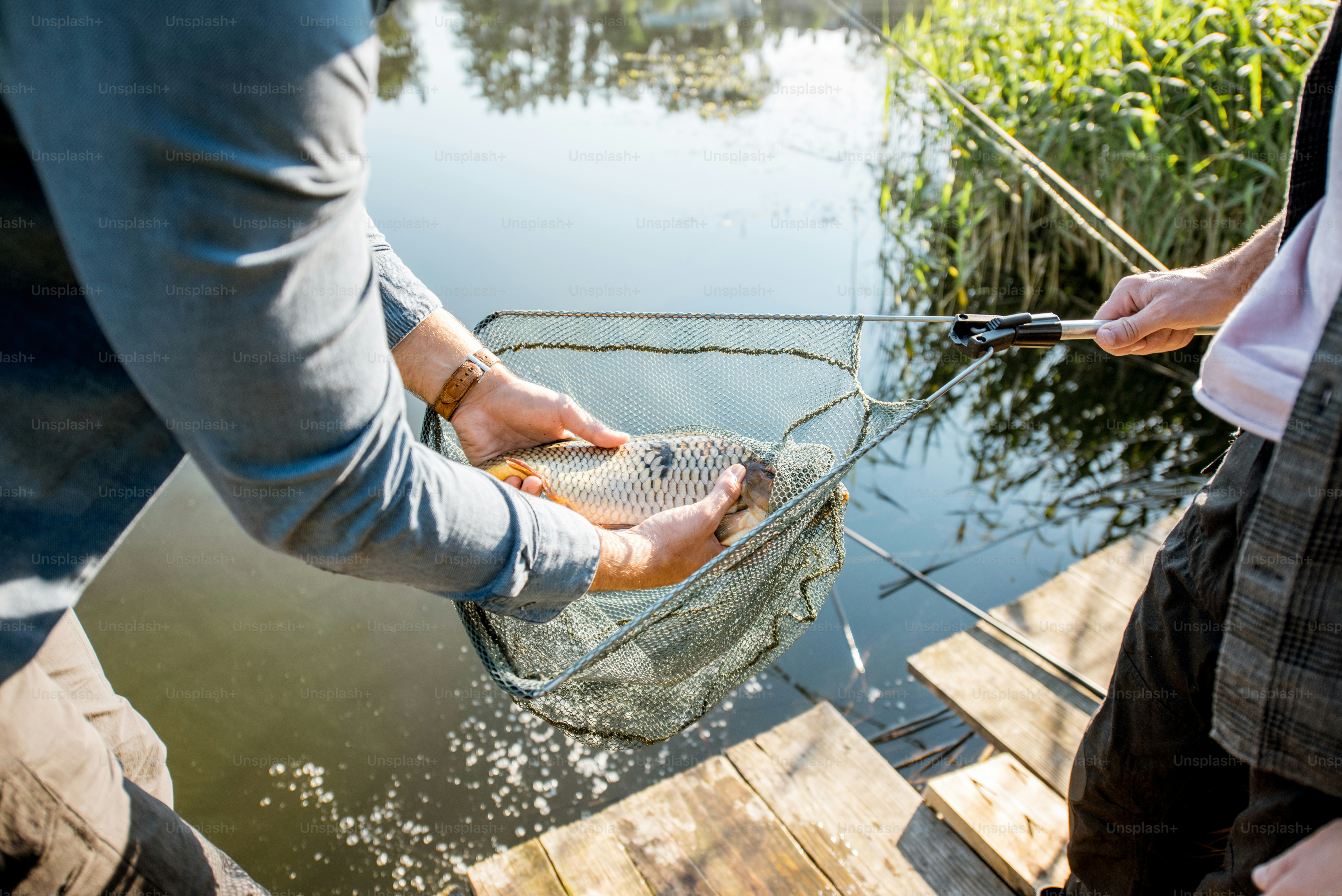 Un pêcheur se fait attraper du poisson dans le filet de pêche près du ...