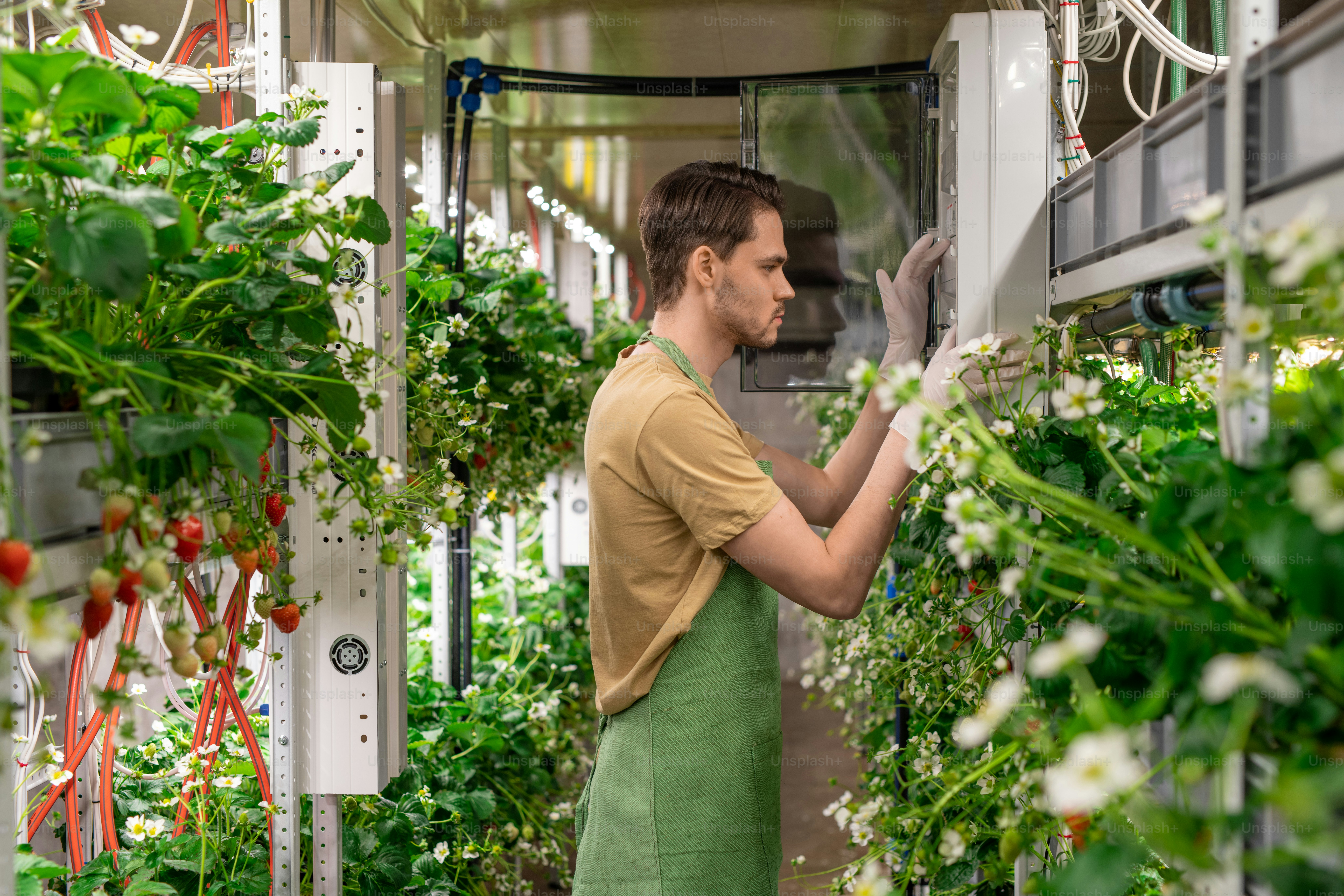 Young male worker of vertical farm in workwear checking temperature ...