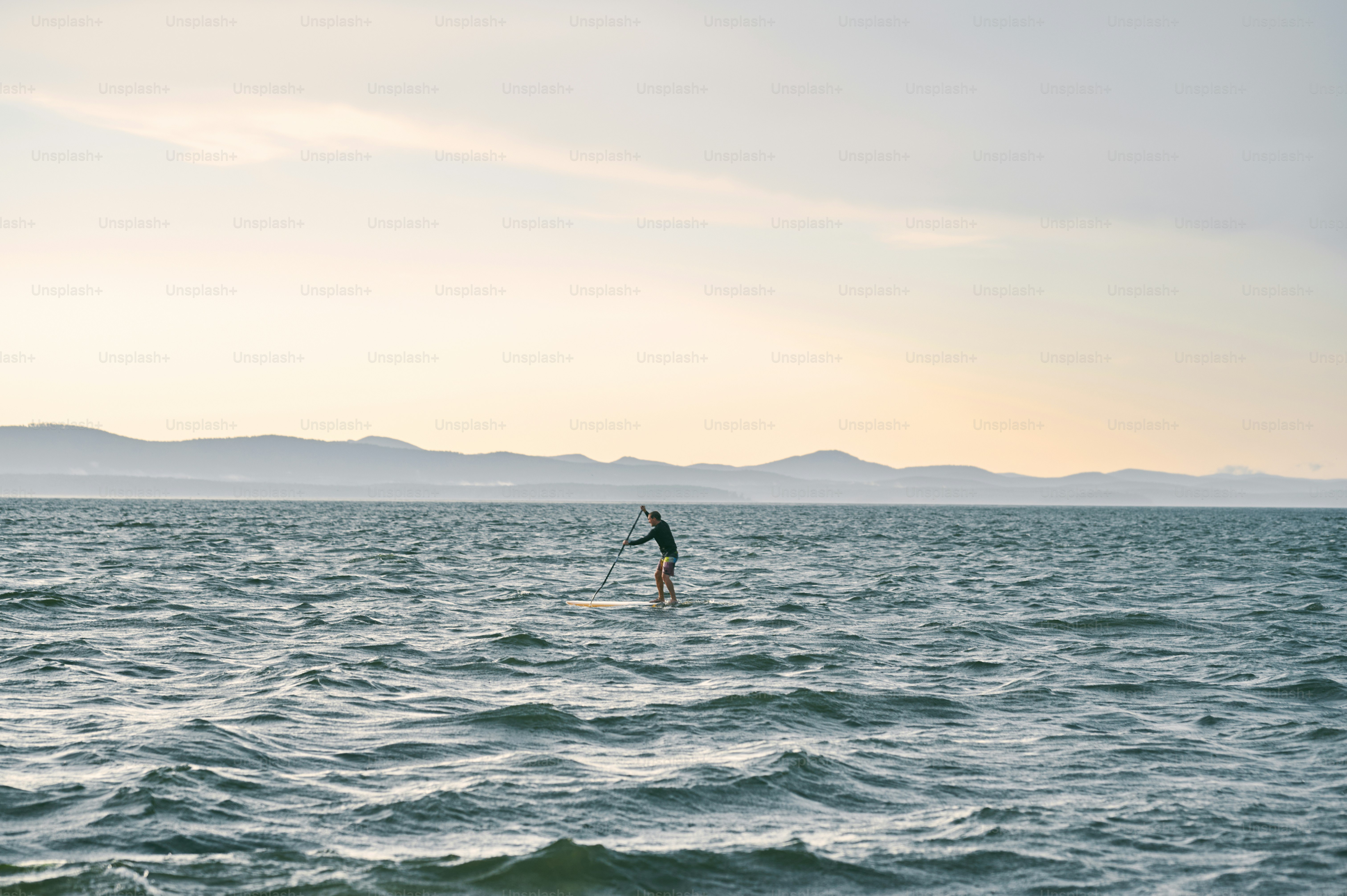 Floating In Water Pictures | Download Free Images on Unsplash