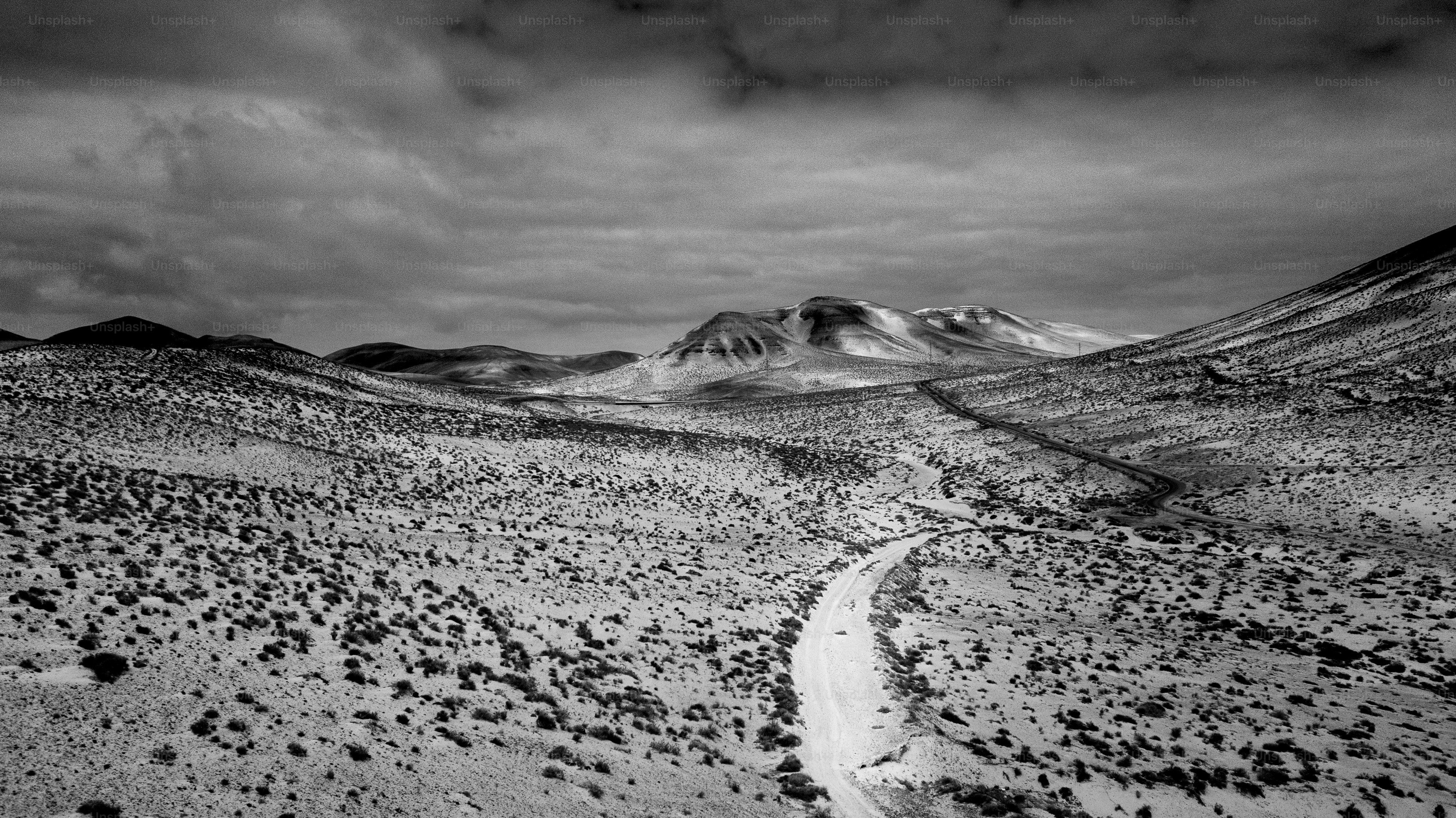 Black and white dramatic landscape with climate change effects for ...