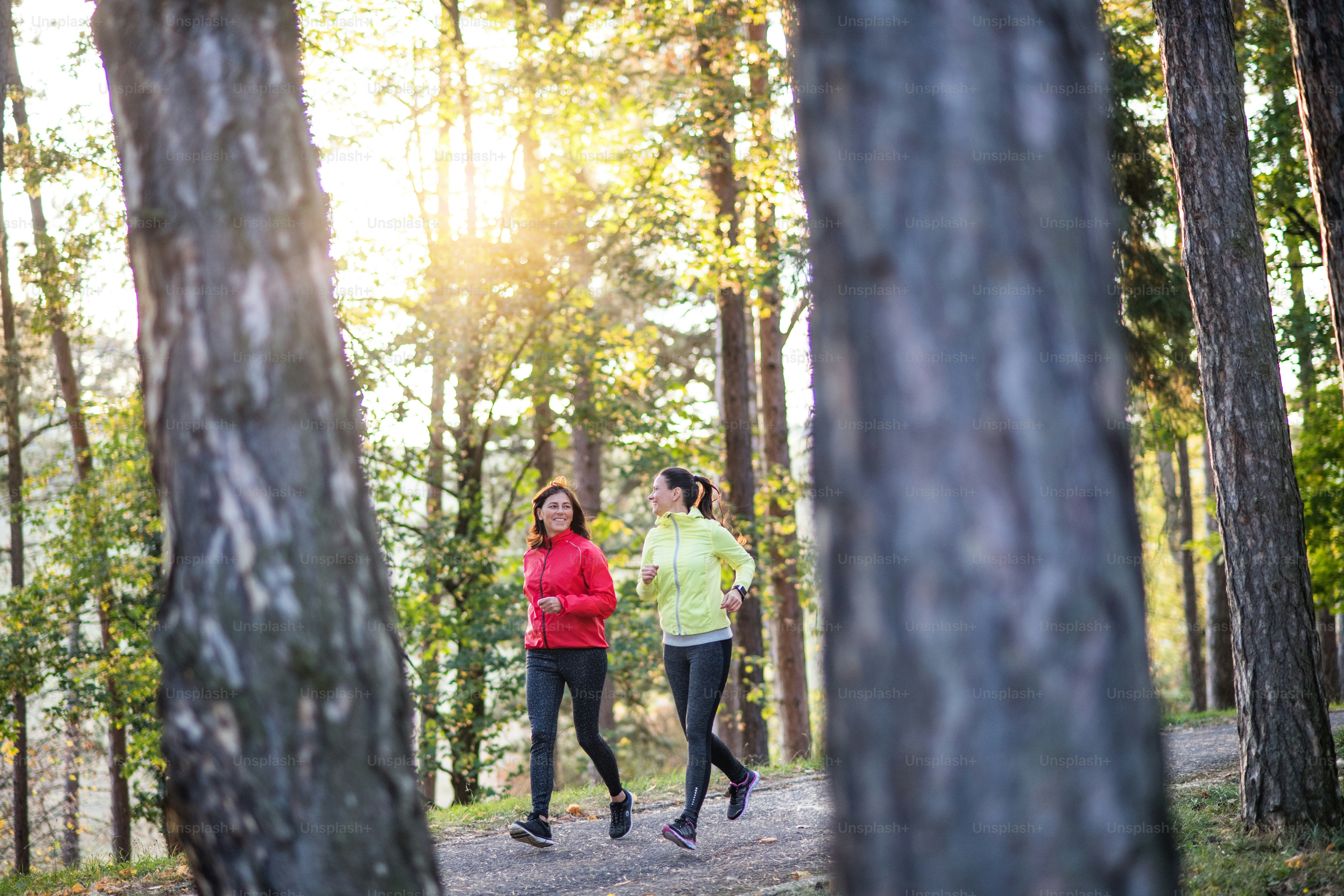 Two active female runners jogging outdoors in forest in autumn nature ...