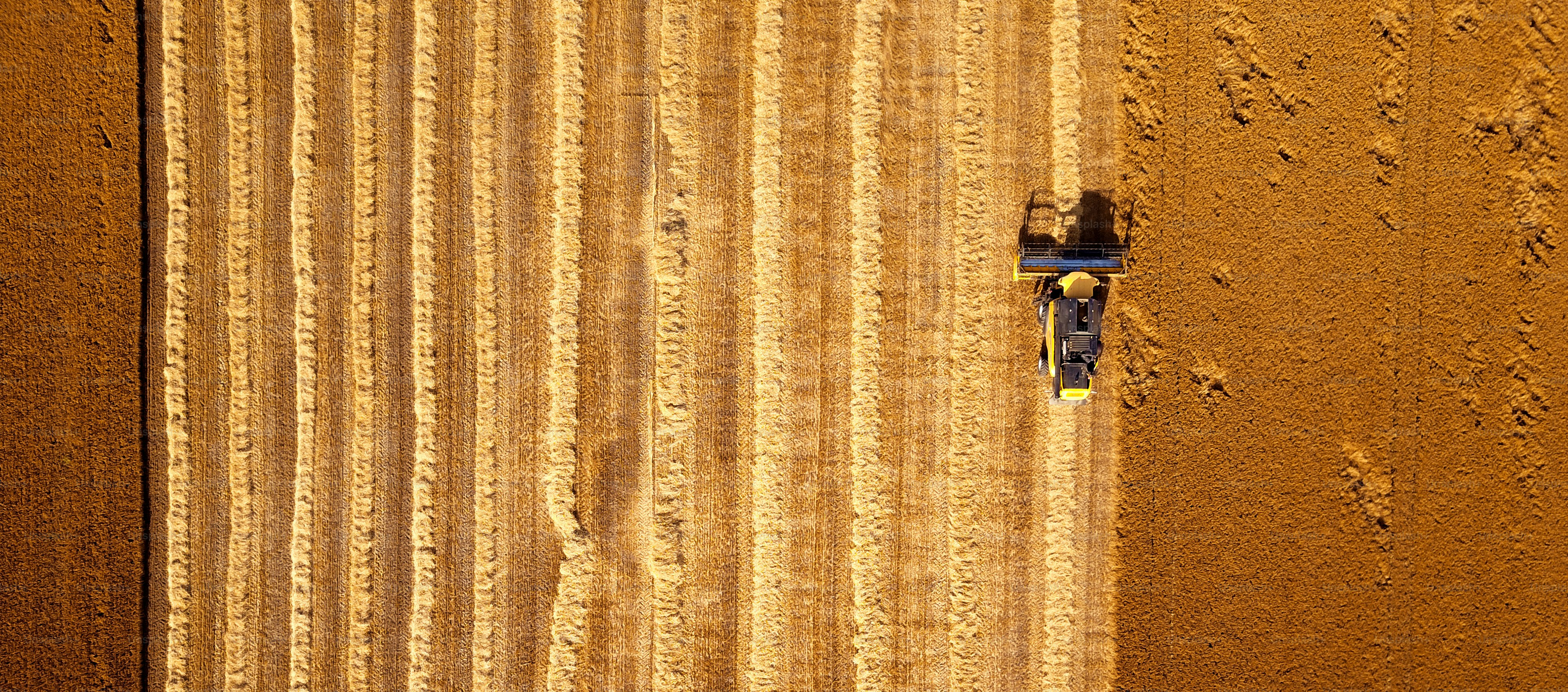 Yield Pictures | Download Free Images on Unsplash