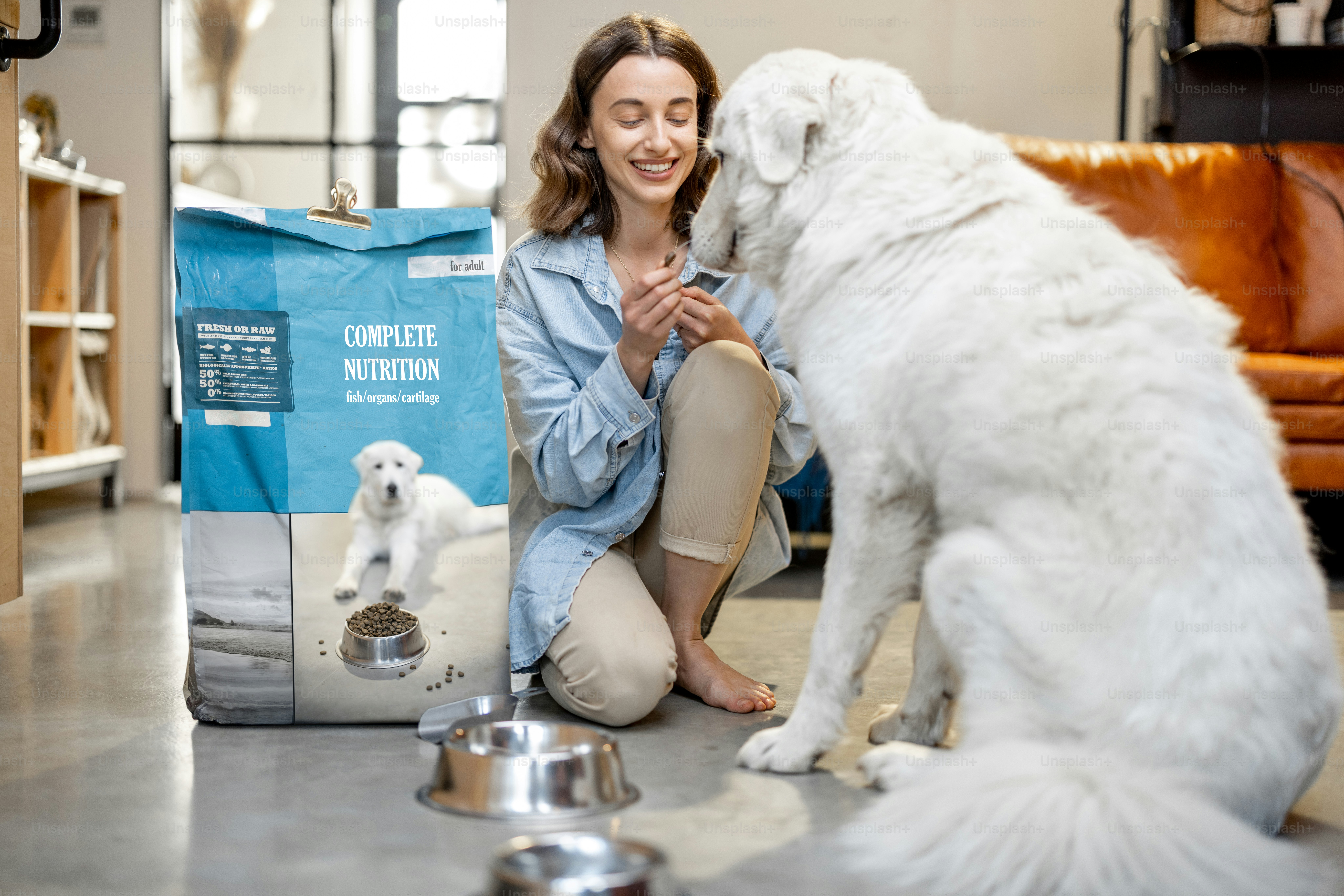 Young woman feeds her huge white dog with a dry food, sitting on the floor with a package of pet ...