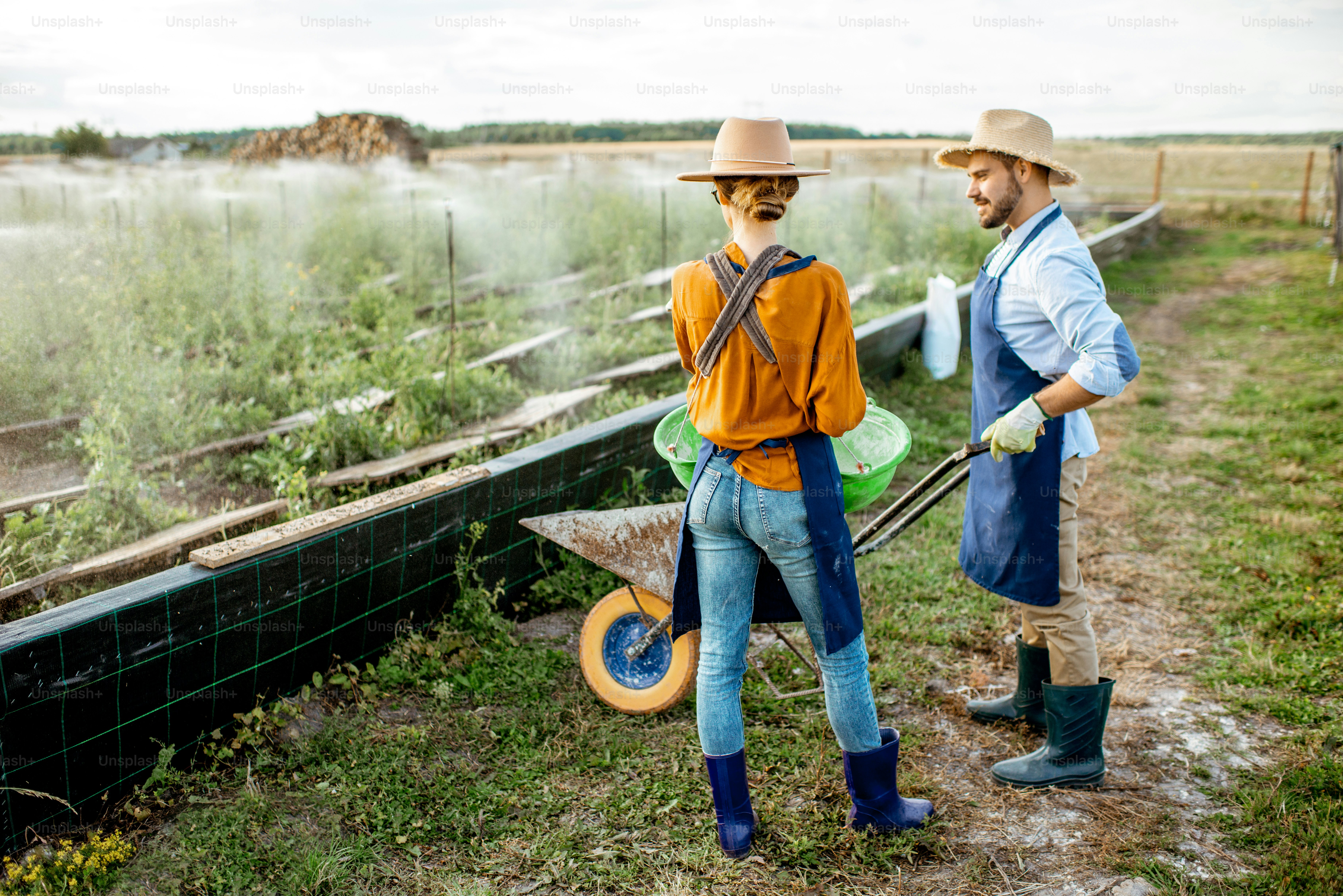 Well-dressed farmers standing on the farmland with green buckets for ...
