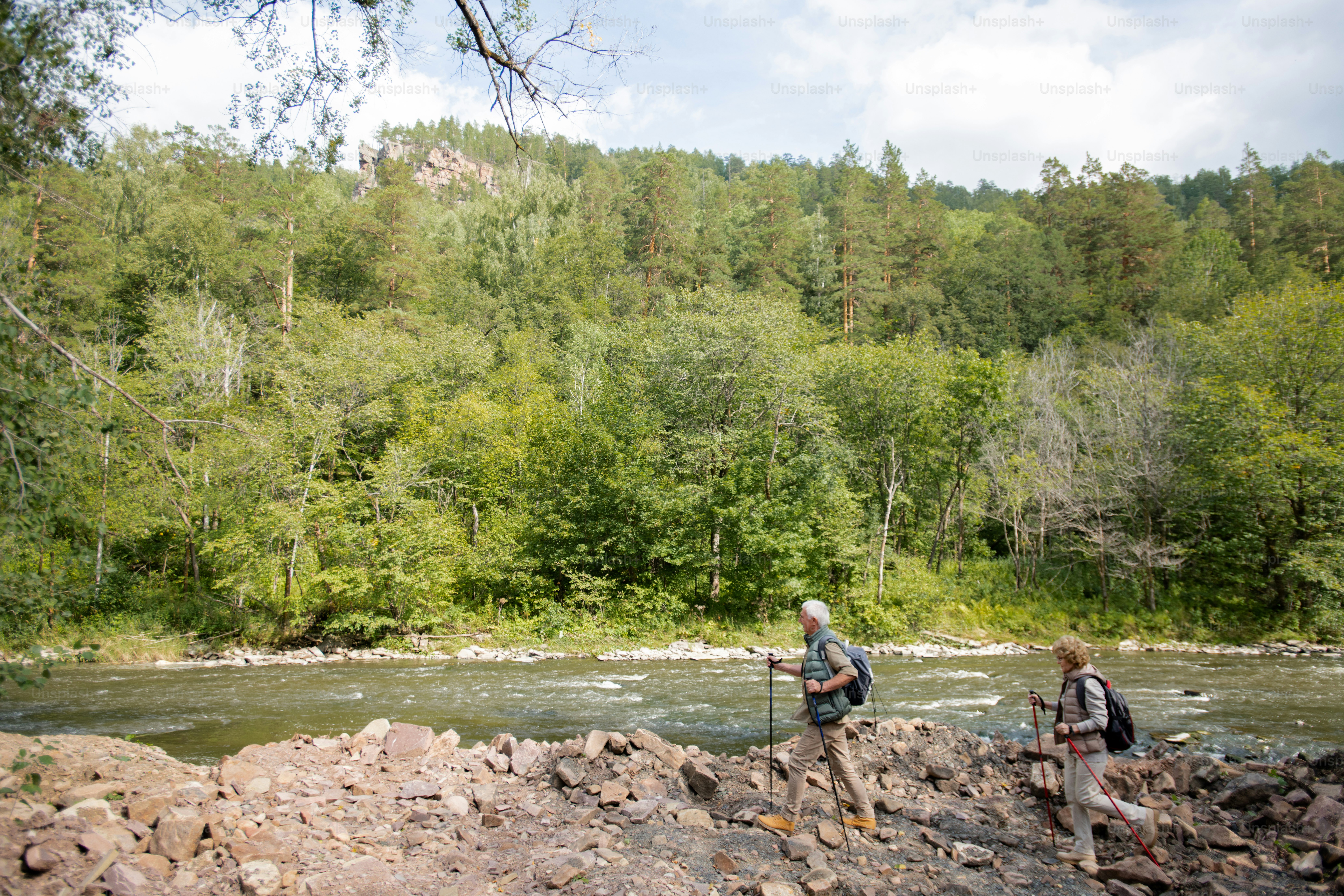 Contemporary backpackers with trekking sticks moving down river bank ...