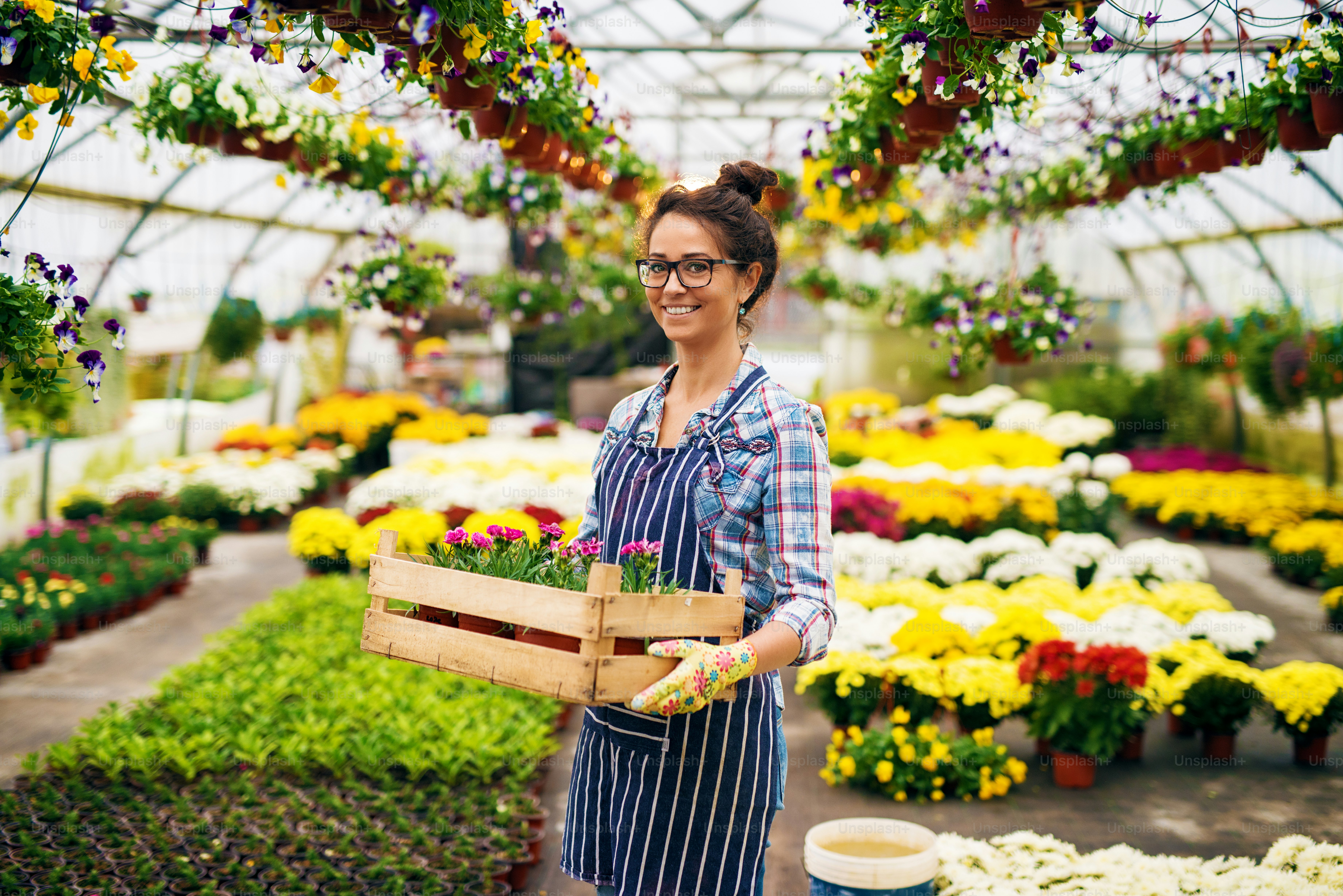 Two positive pretty florist female employee working in the sunny ...