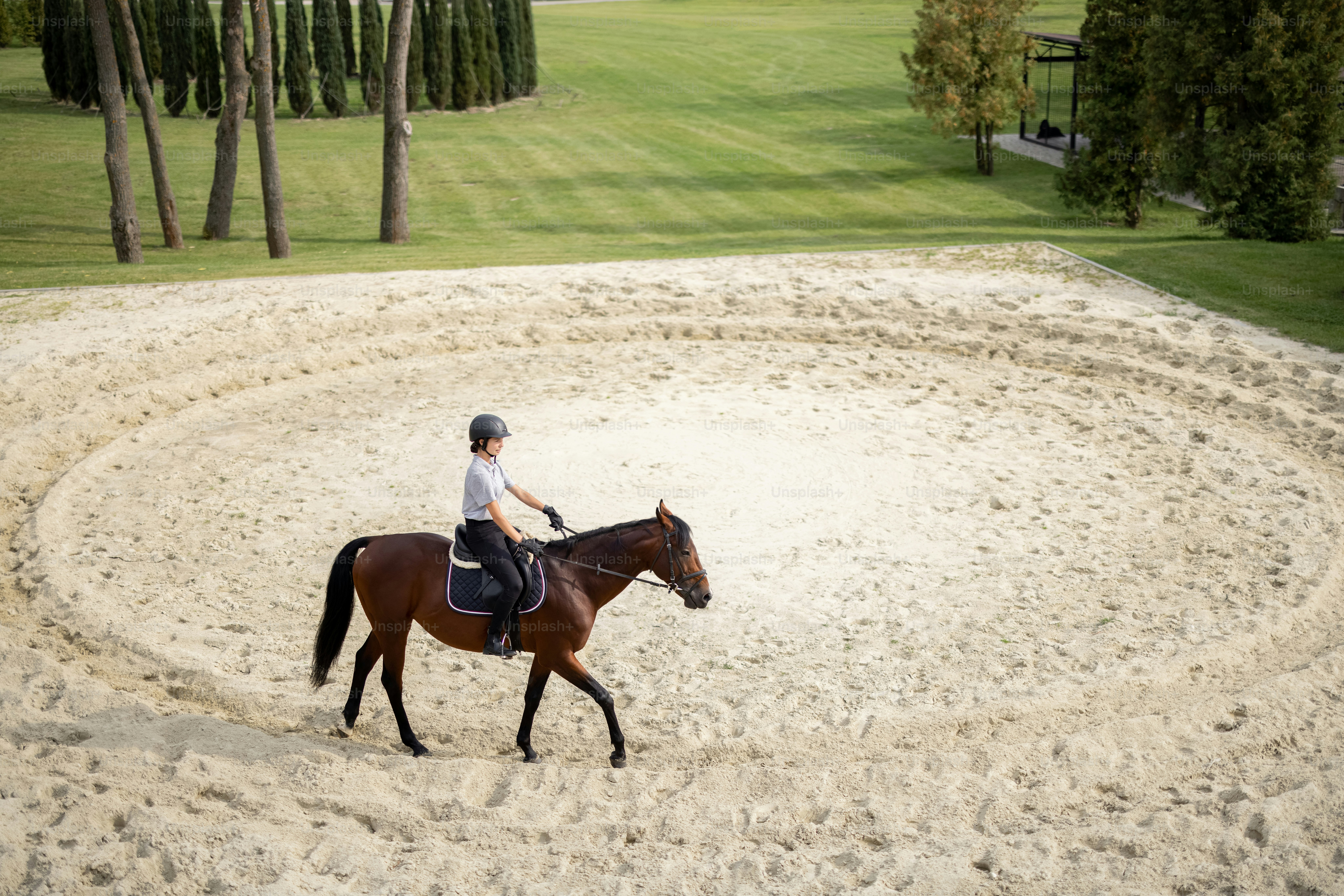 Female horseman riding brown Thoroughbred horse on horse riding area in ...