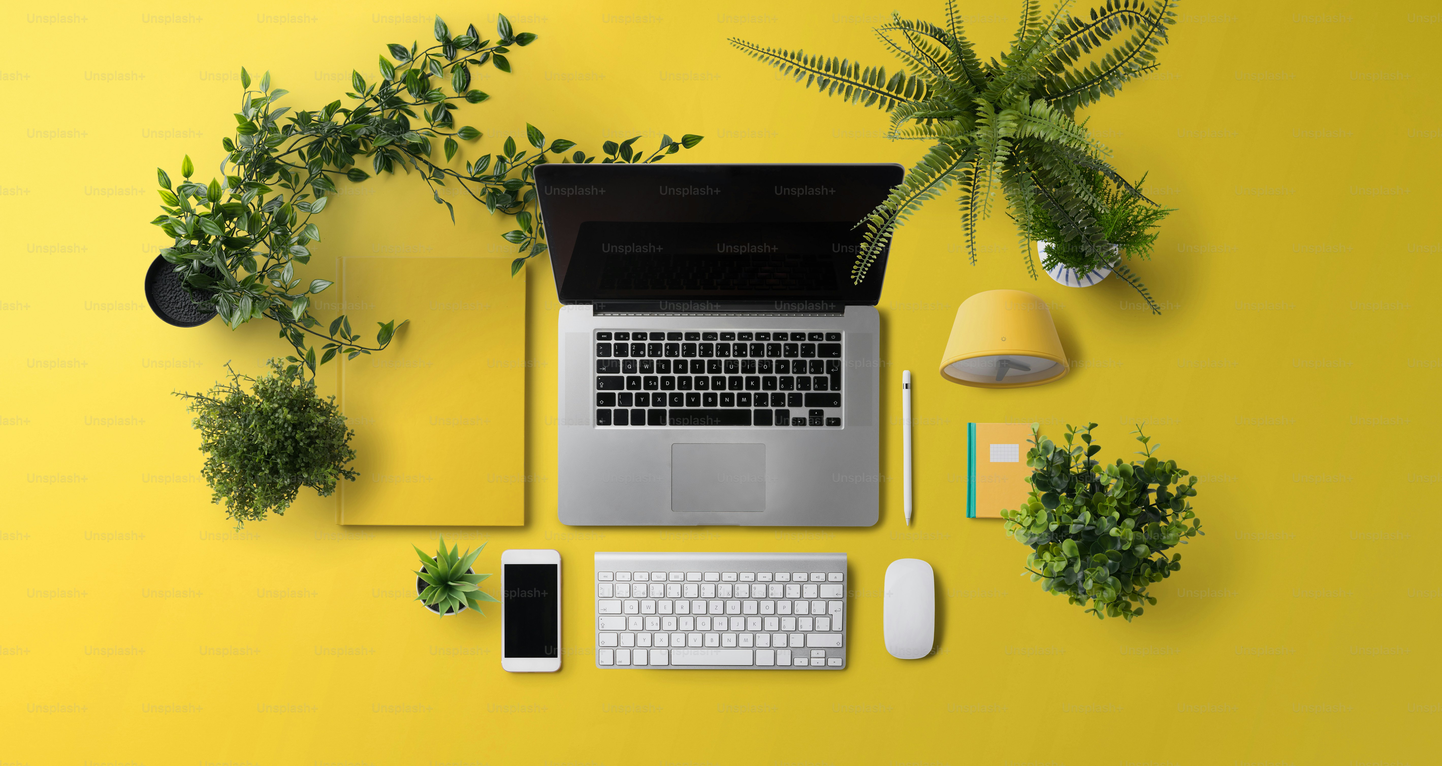 Laptop Wallpaper Nature Pictures | Download Free Images on Unsplash
