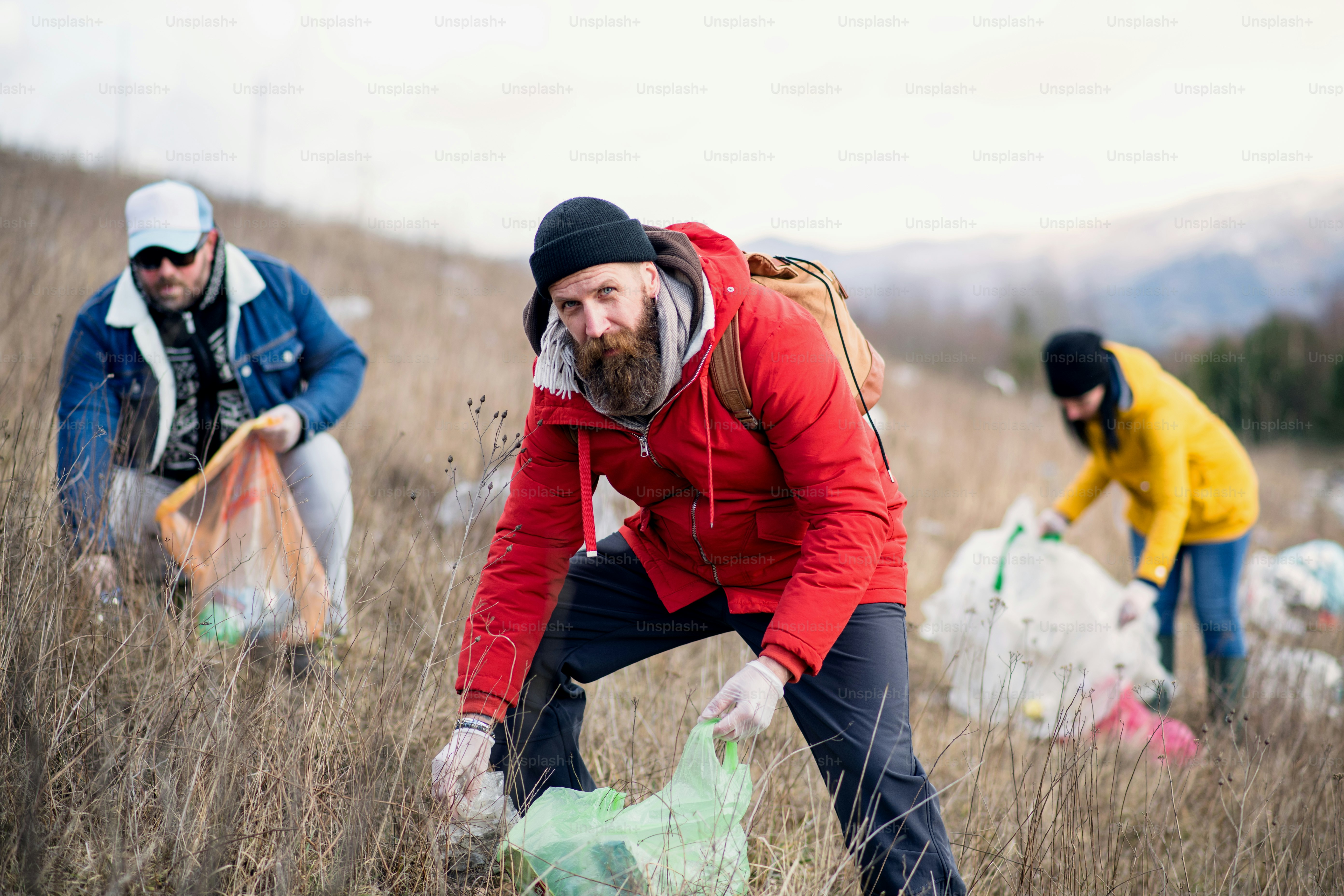 Group of activists picking up litter in nature, environmental pollution ...