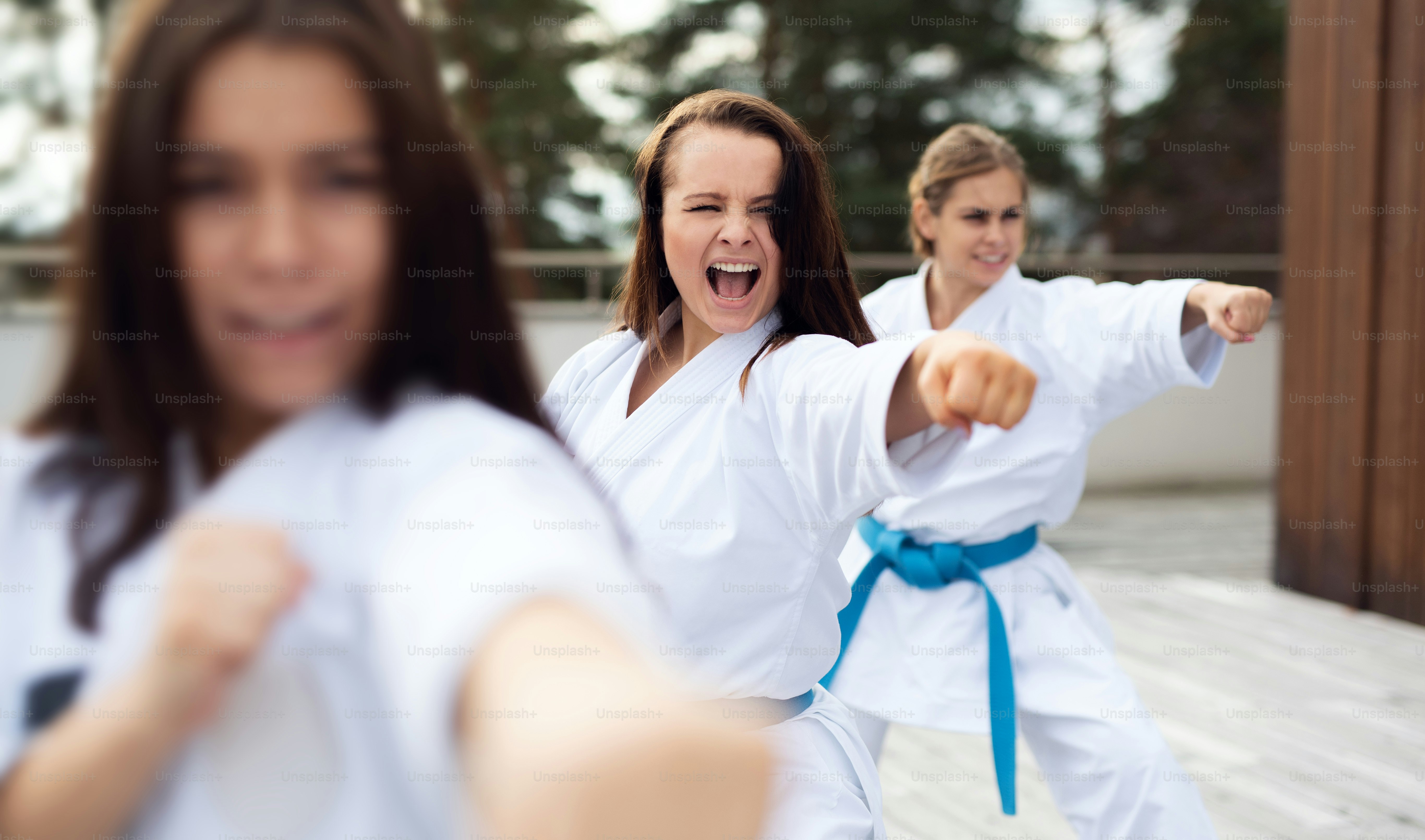 A group of young women practising karate indoors in gym. photo – Sports ...