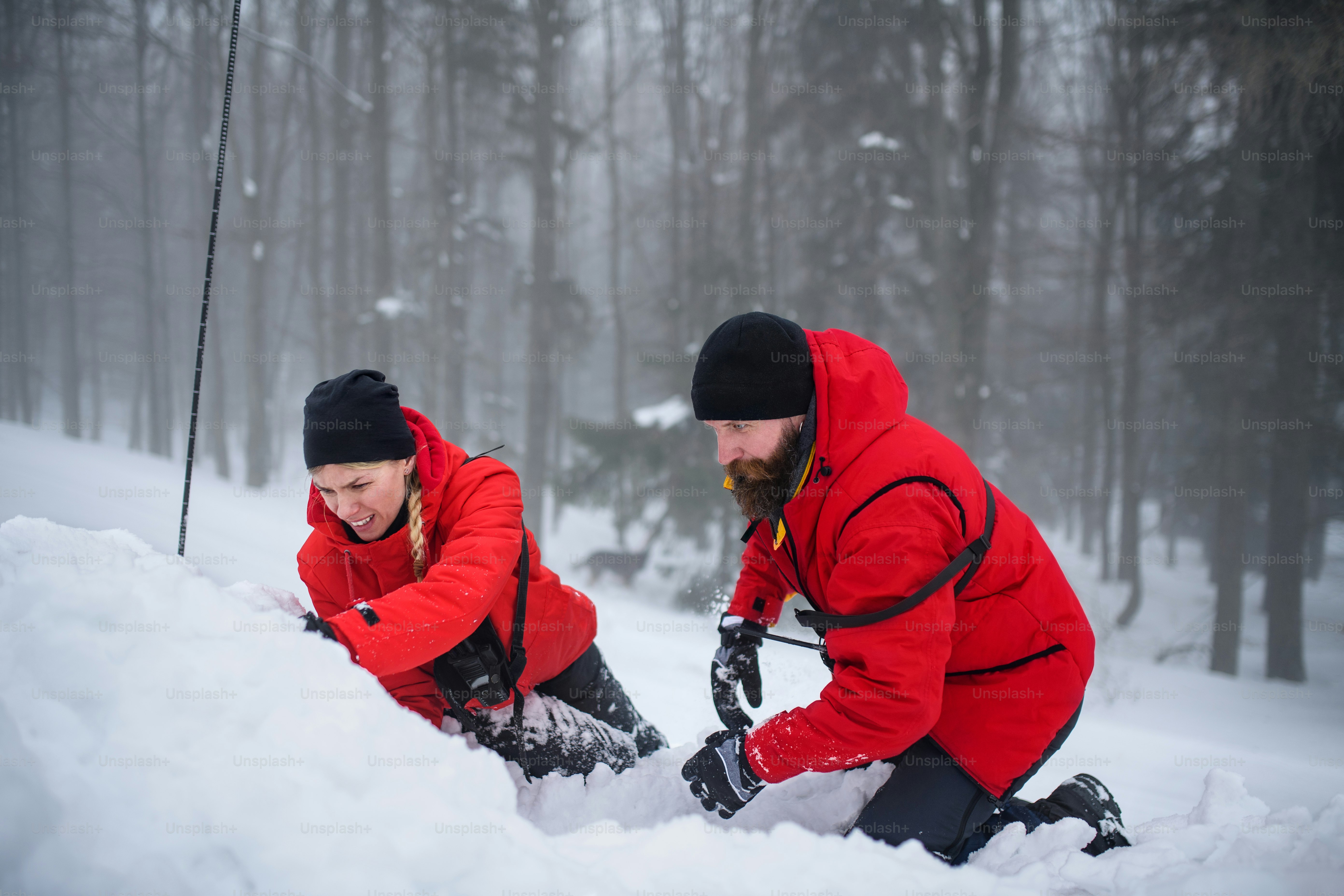 Mountain rescue service on operation outdoors in winter in forest ...