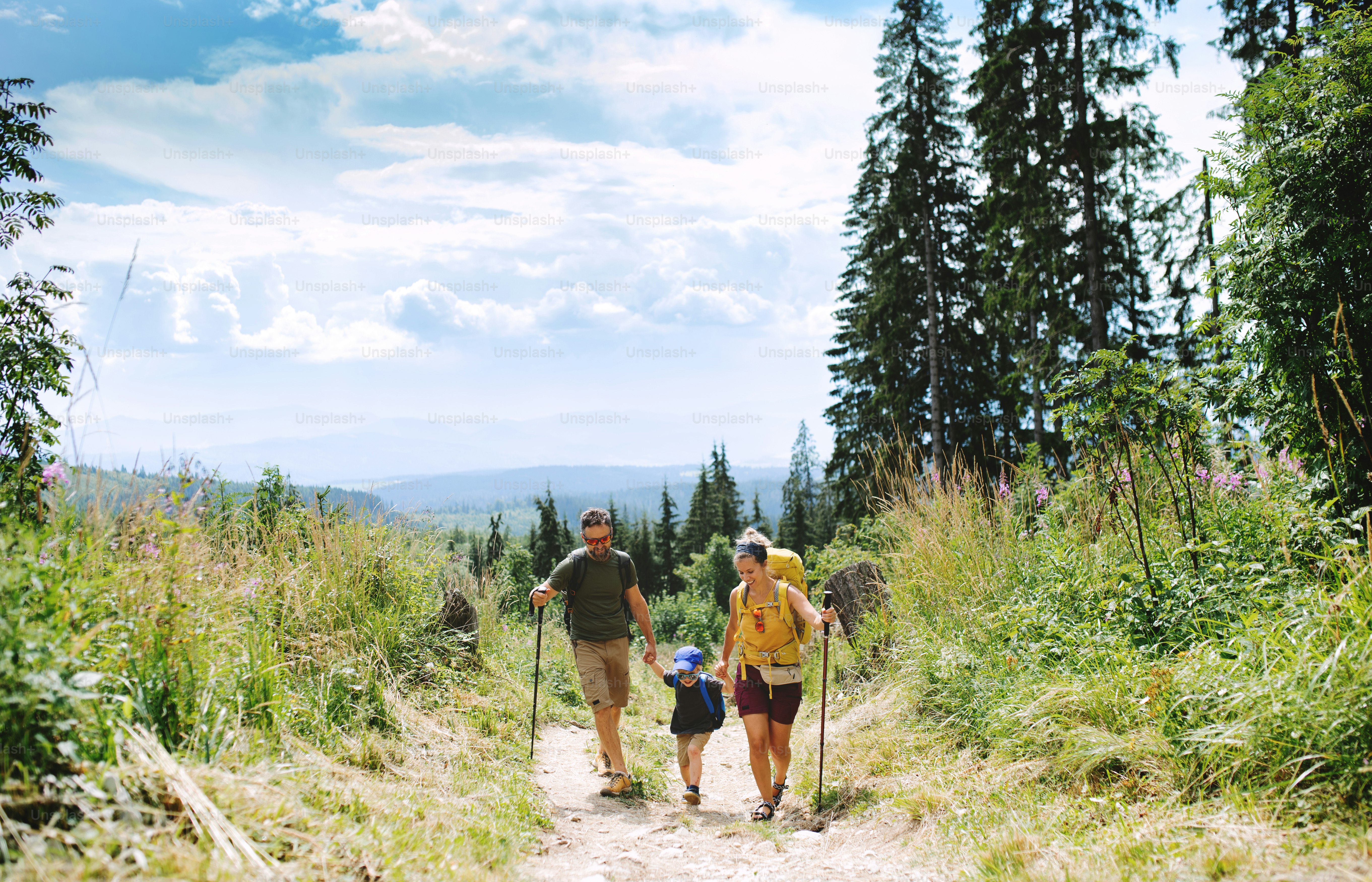 Front view of family with small children hiking outdoors in summer ...