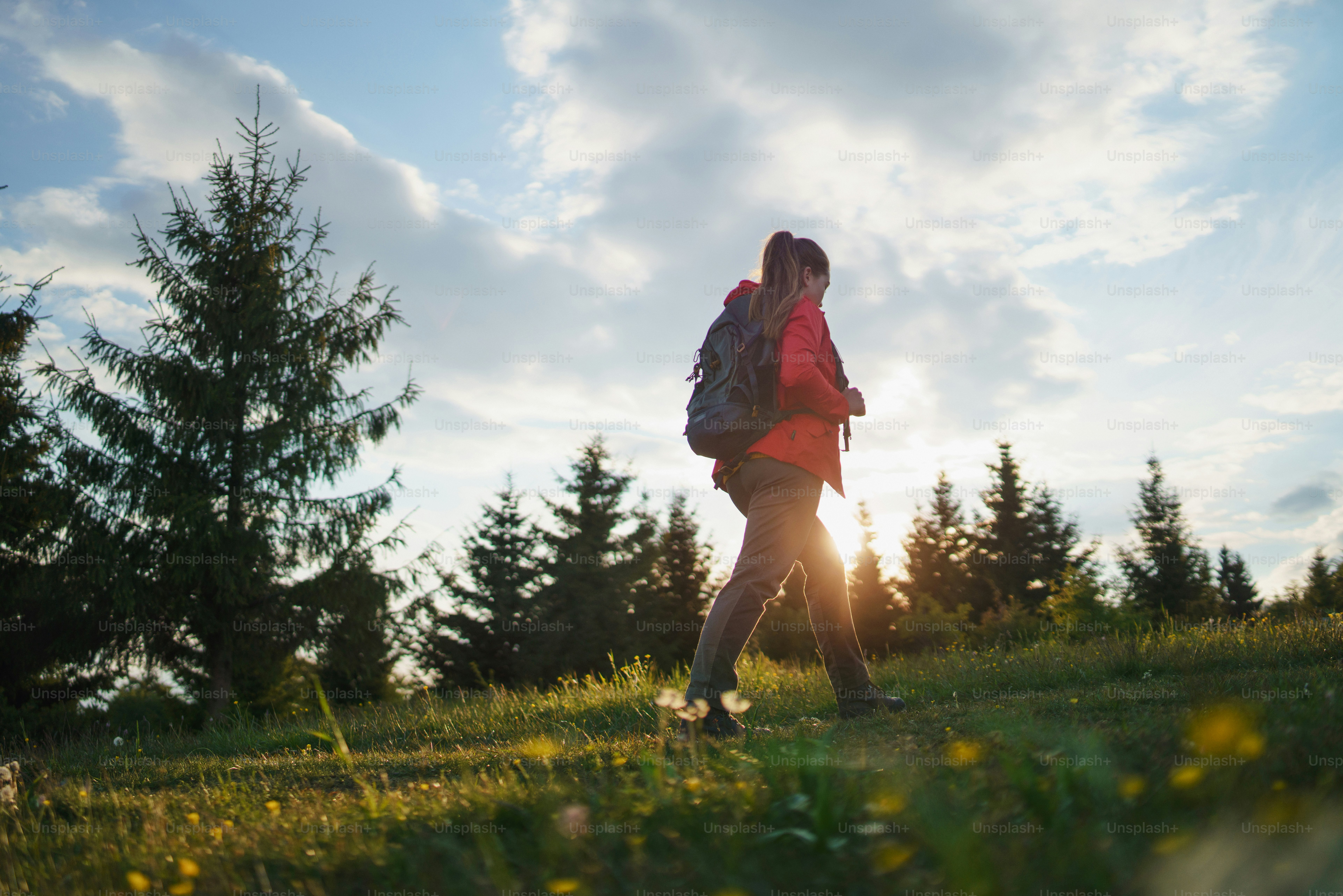 Rear view of young woman on a walk outdoors on meadow in summer nature ...