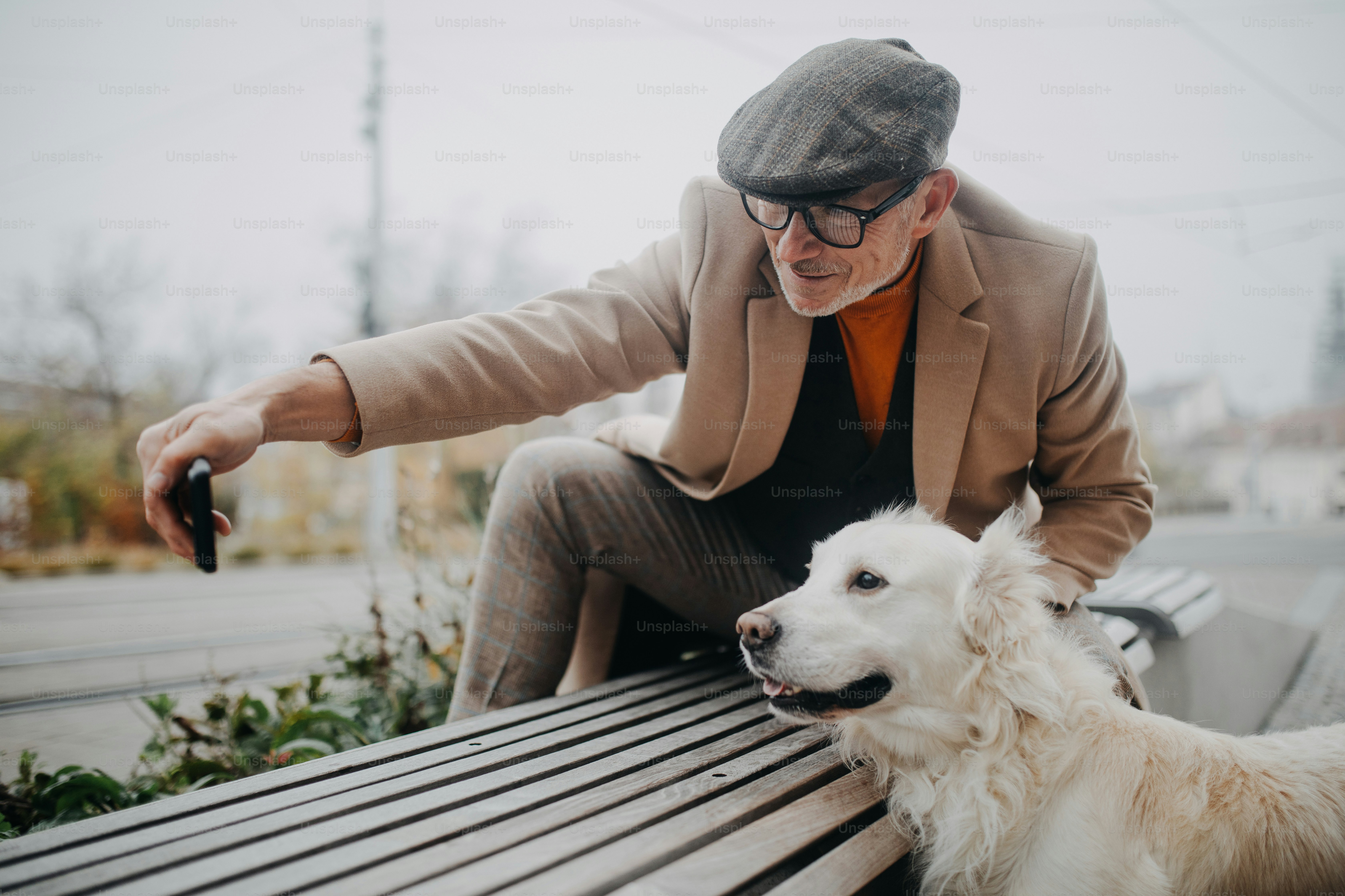 A happy senior man sitting on bench and resting during dog walk ...