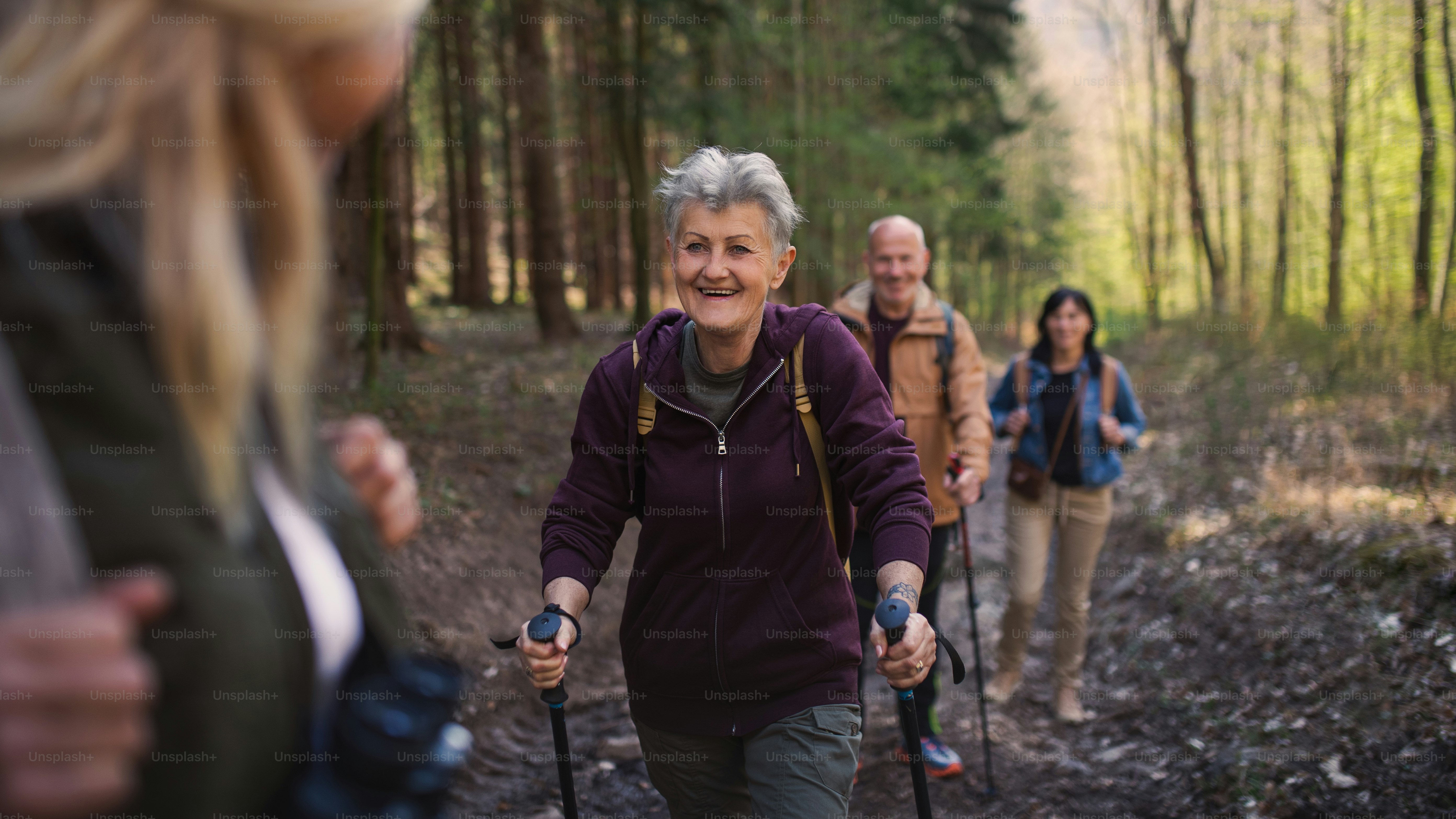 Portrait of group of seniors hikers outdoors in forest in nature ...