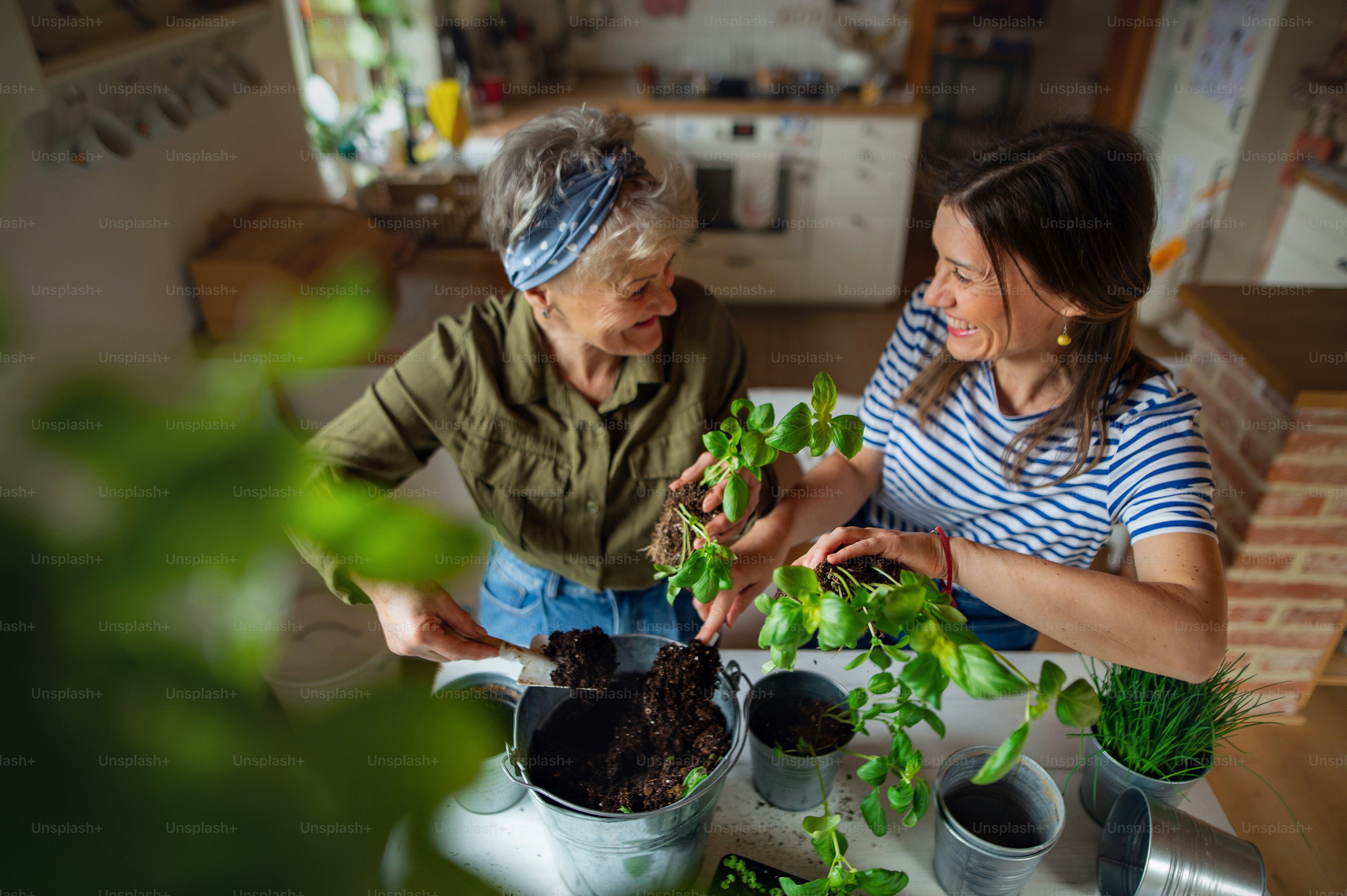 A high-angle view of happy senior mother with adult daughter indoors at ...
