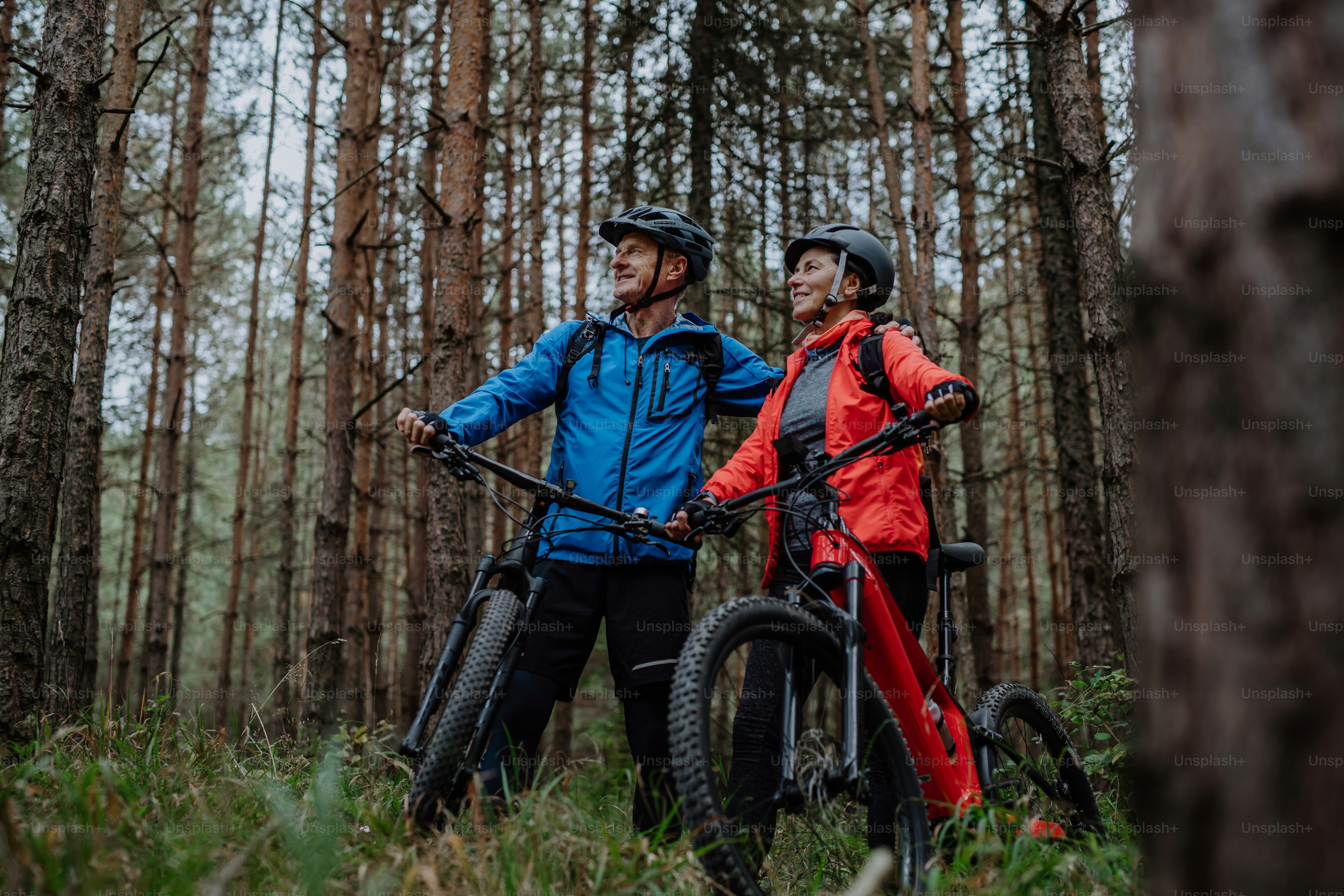 A senior couple bikers with e-bikes admiring nature outdoors in forest ...