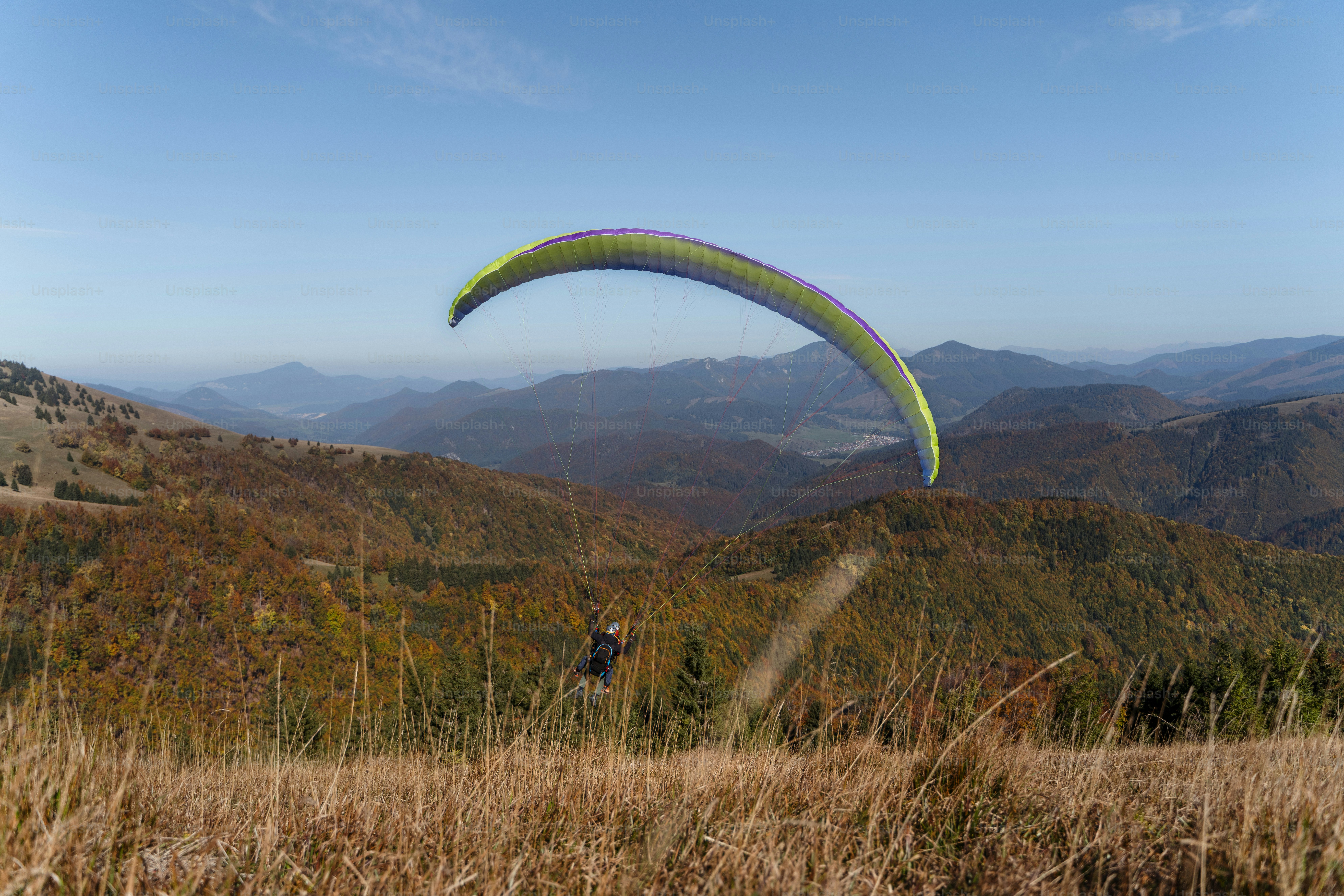 A paraglider in the blue sky. The sportsman flying on a paraglider ...