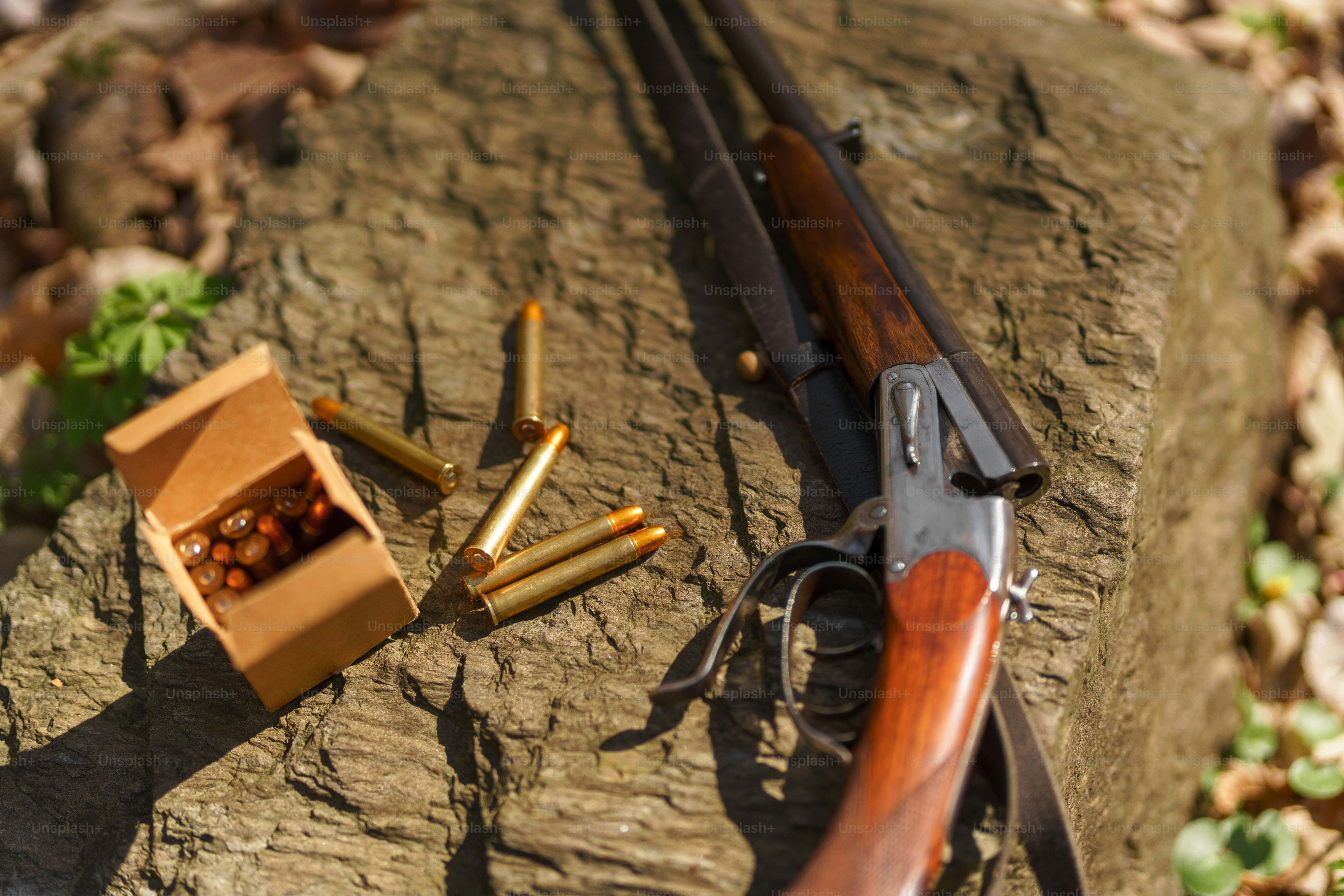 A hunter's rifle gun near tree stump in forest. photo – Bullets Image ...
